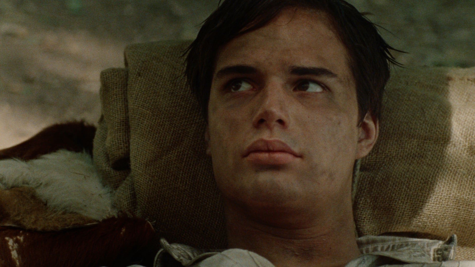 Guerilla Image - ID: 238385 - Image Abyss