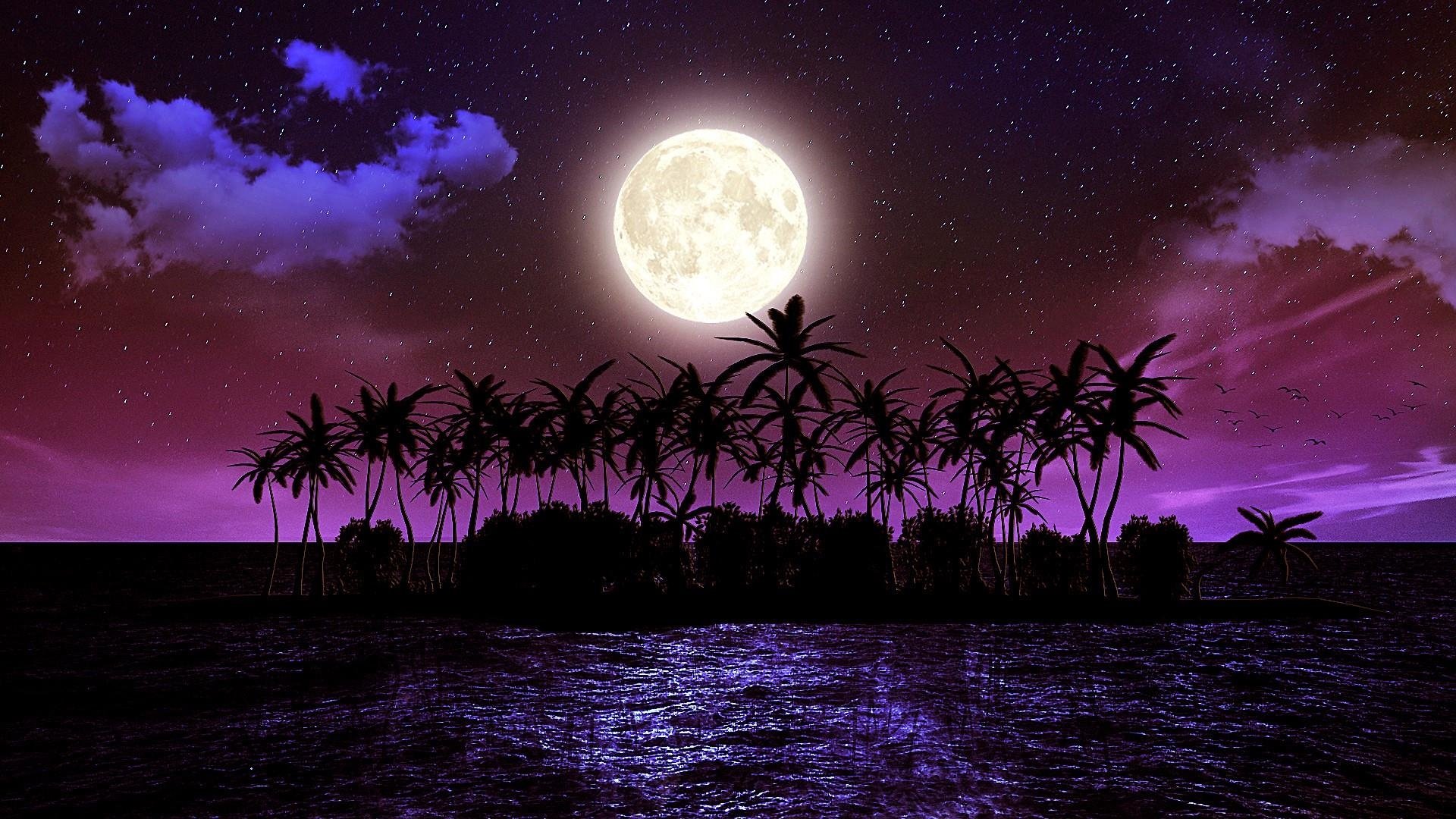 Full Moon on Tropical Night Image - ID: 241616 - Image Abyss
