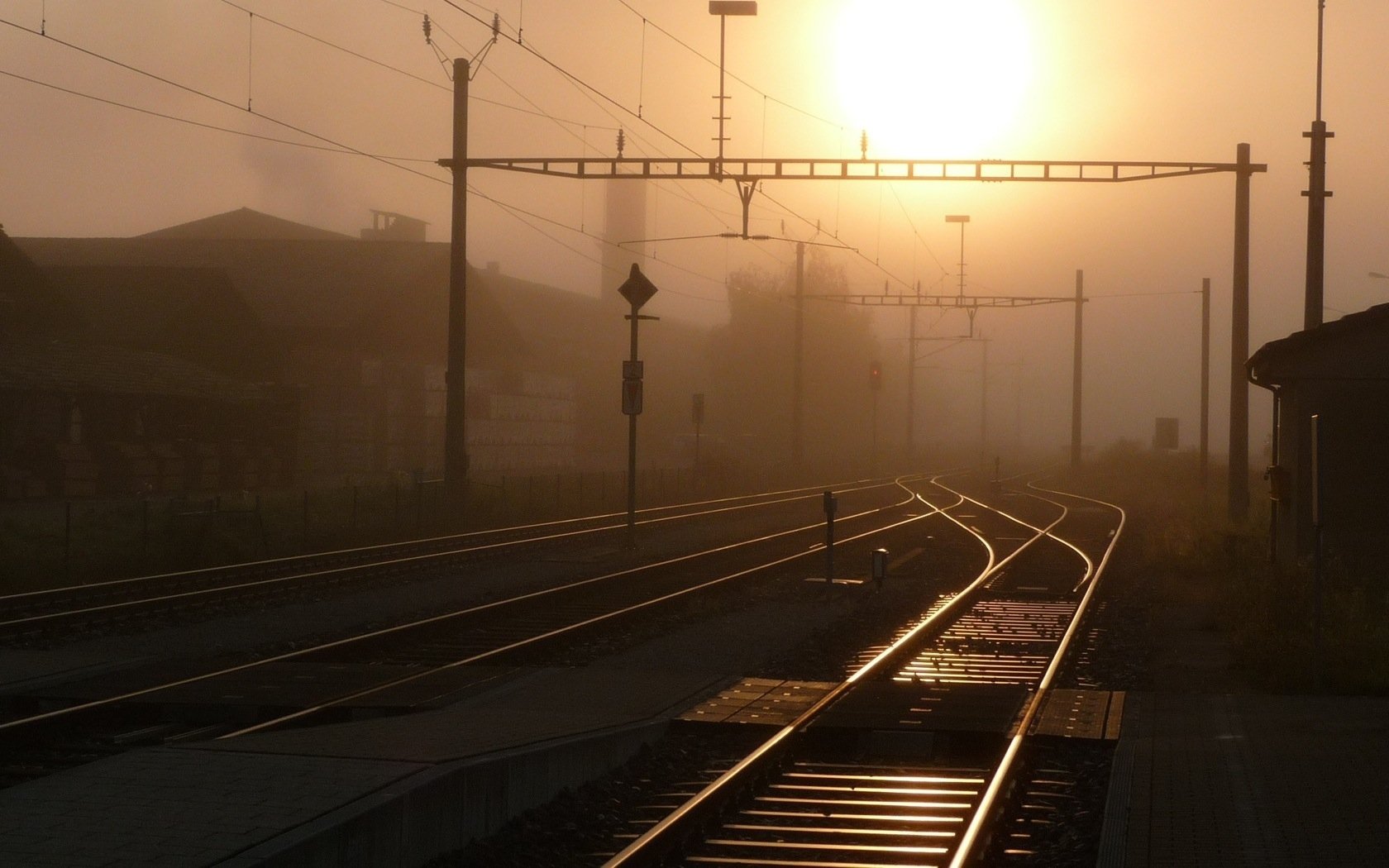 Sunlit Rails: A Man-Made Path Through the Morning Mist