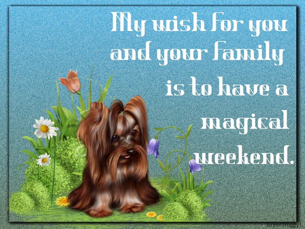 MAGICAL WEEKEND by GREENFROGGY1 - Image Abyss