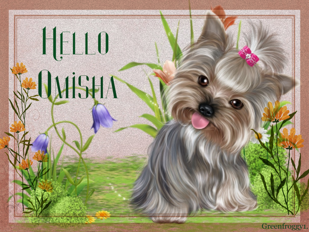 HELLO OMISHA by GREENFROGGY1 - Image Abyss