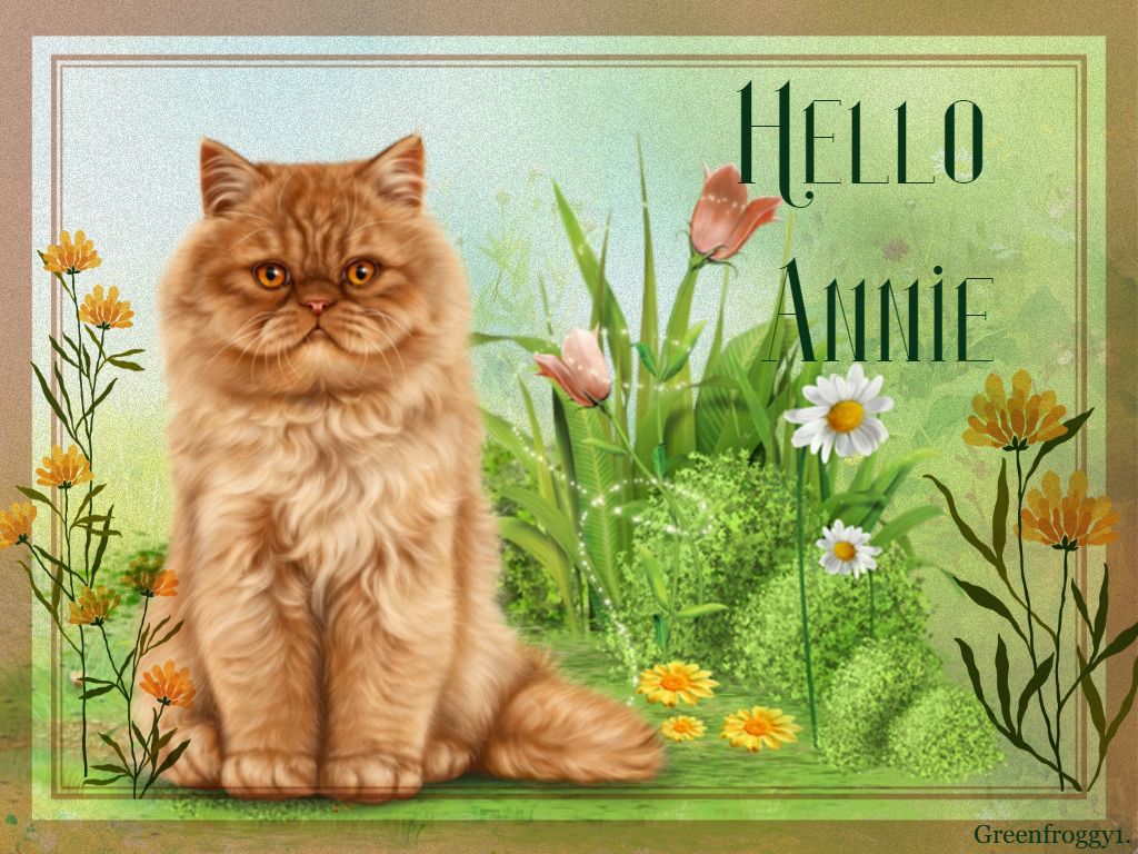 HELLO ANNIE by GREENFROGGY1