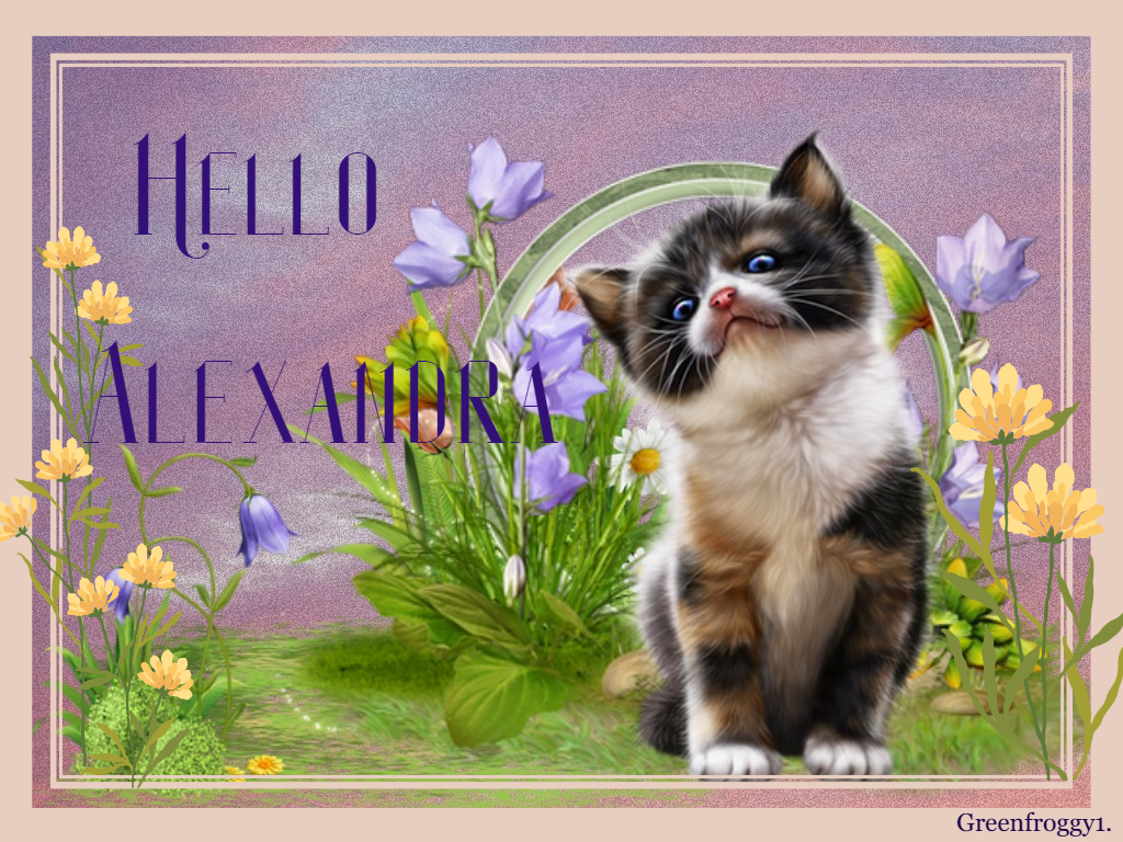 HELLO ALEXANDRA by GREENFROGGY1