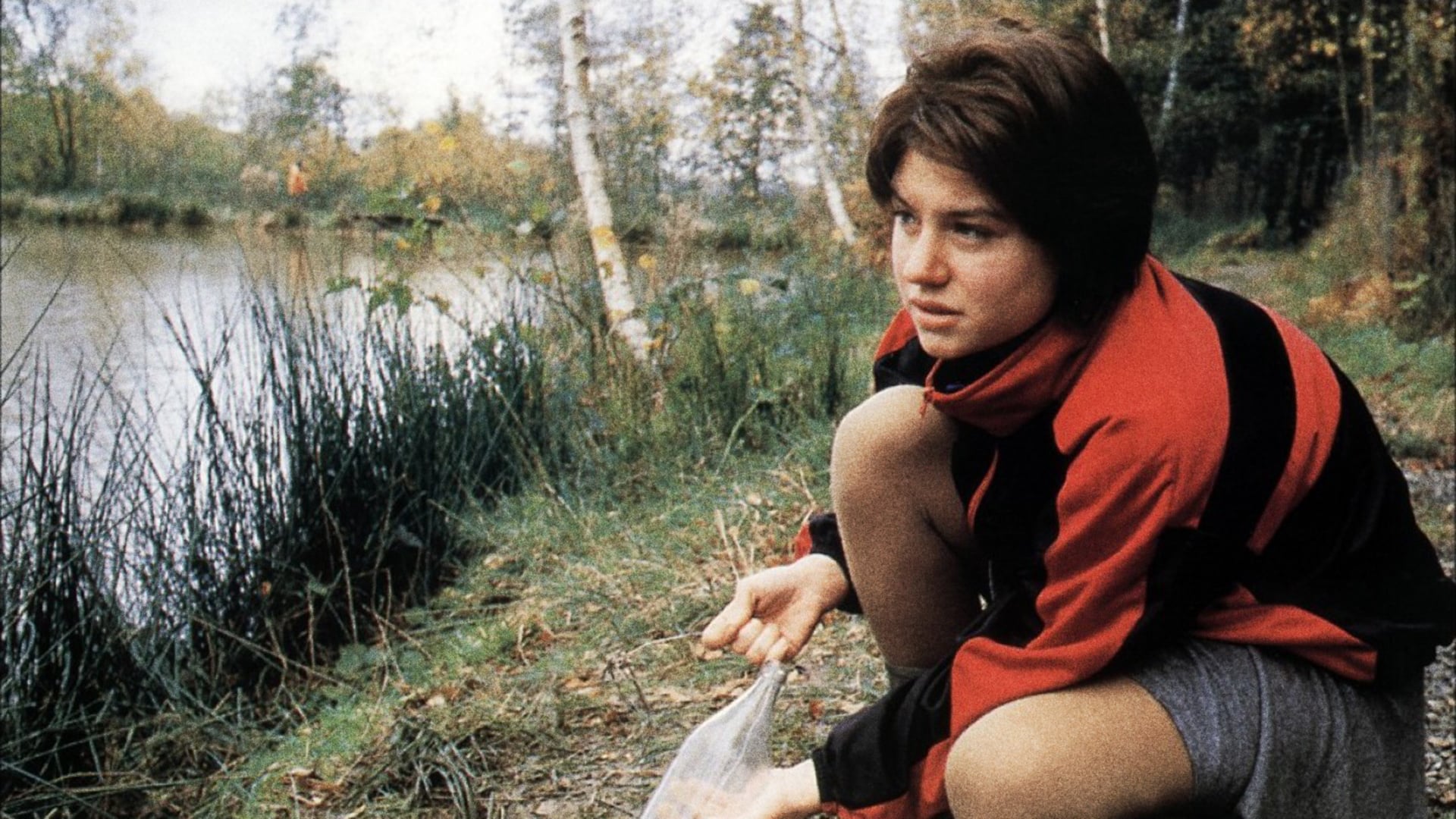 Rosetta Picture - Image Abyss