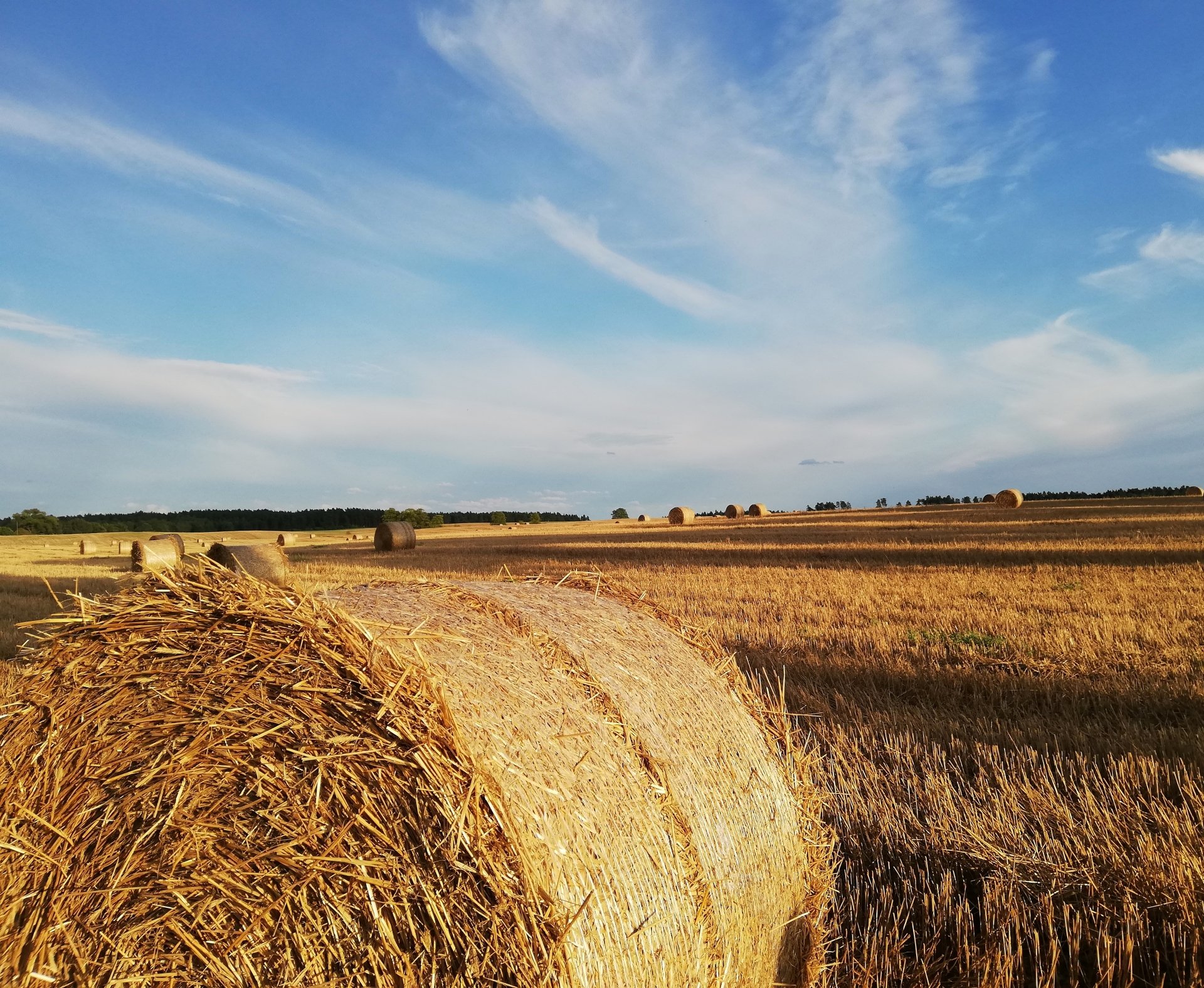 Haystack - Desktop Wallpapers, Phone Wallpaper, PFP, Gifs, and More!