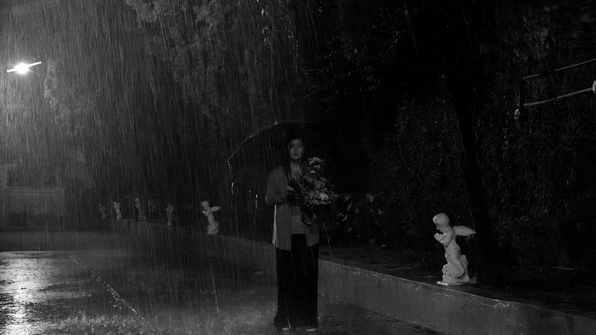 The Halt Image - ID: 248912 - Image Abyss