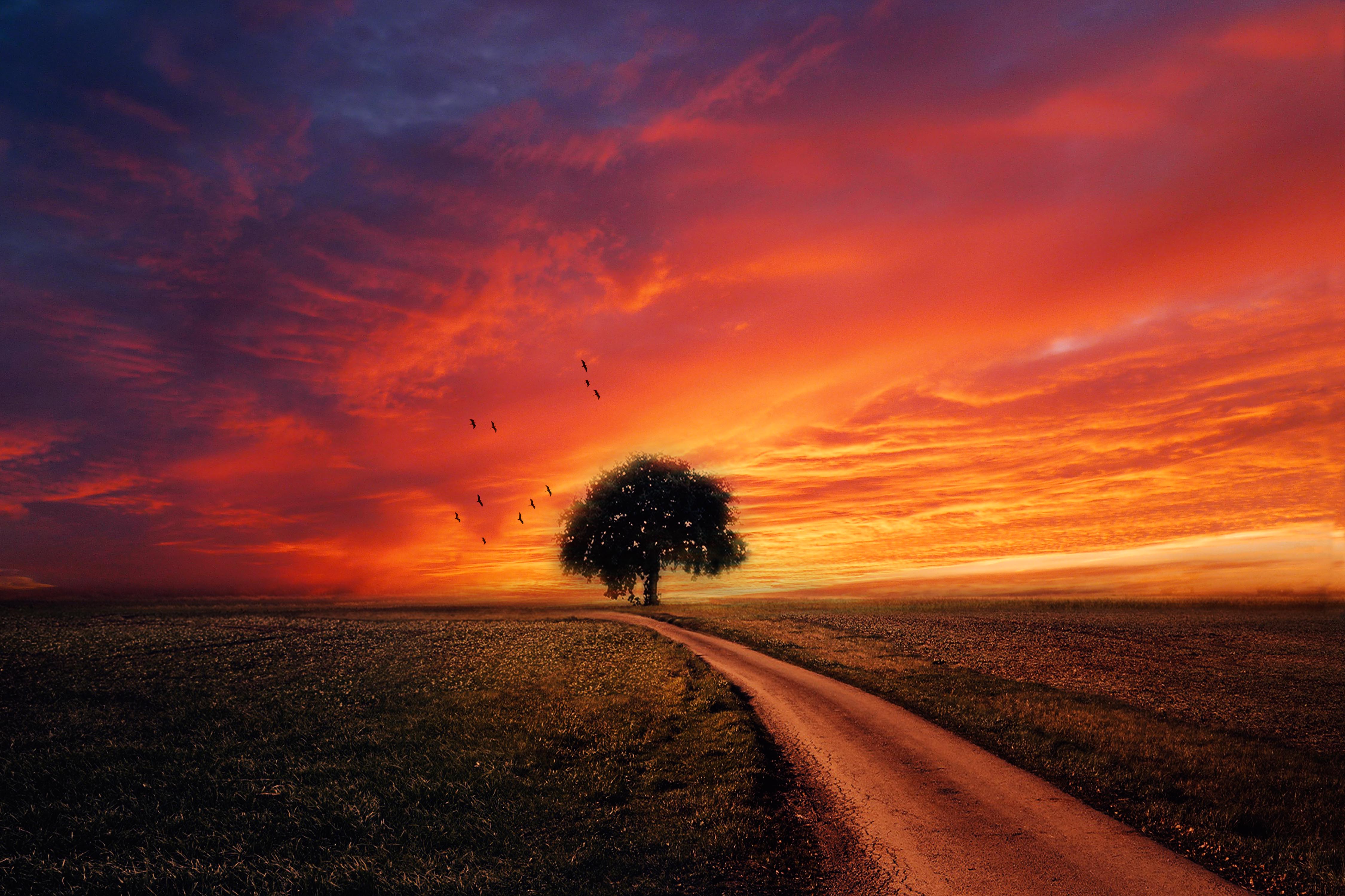 Path Picture - Image Abyss