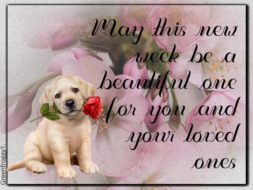 BEAUTIFUL NEW WEEK by GREENFROGGY1