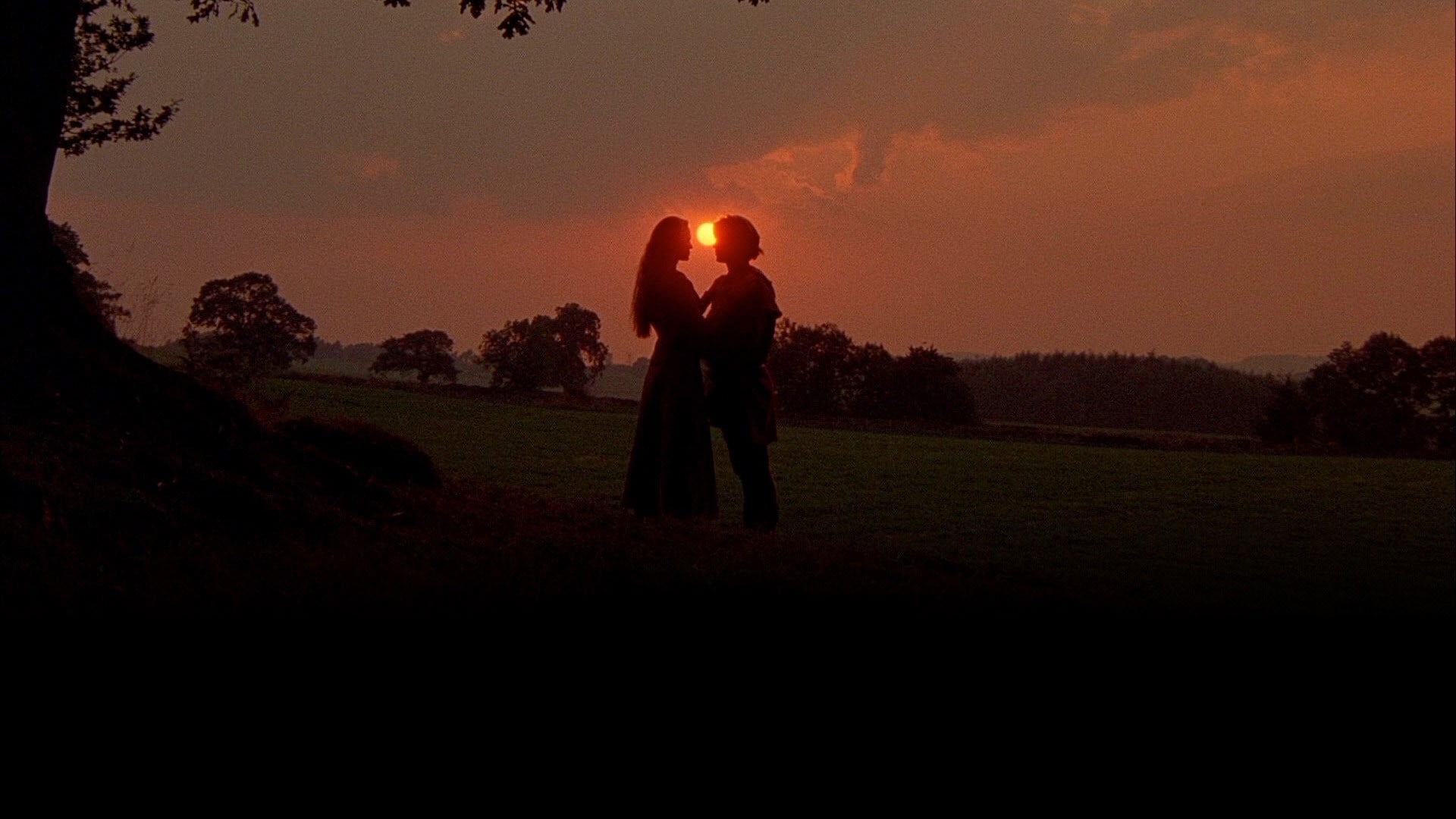 The Princess Bride Image - ID: 255479 - Image Abyss