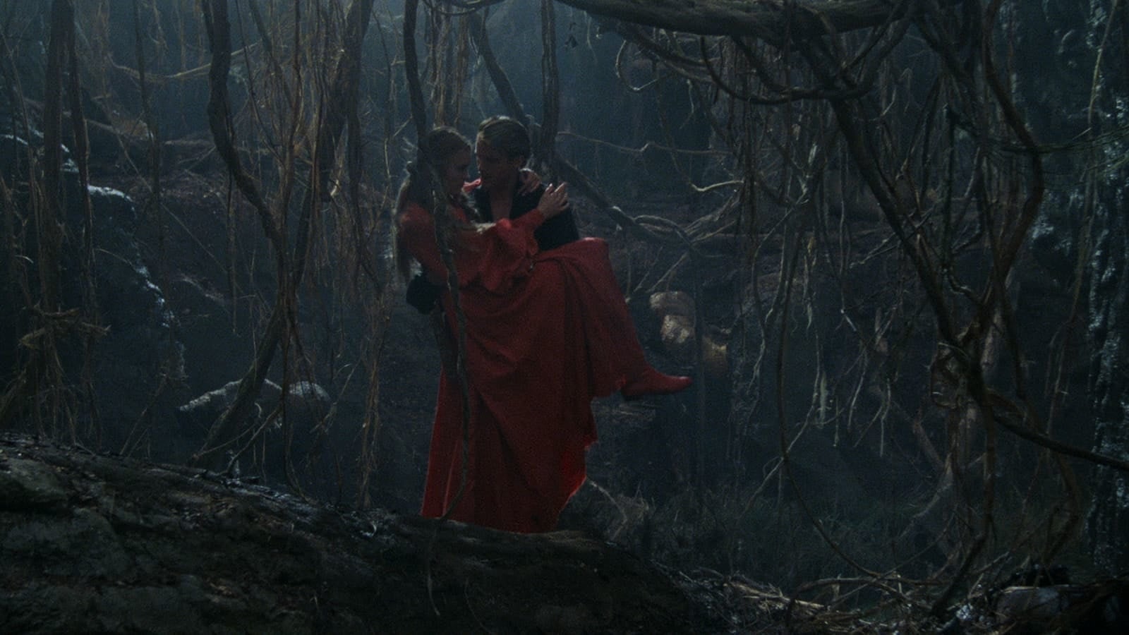 Download Movie The Princess Bride Image