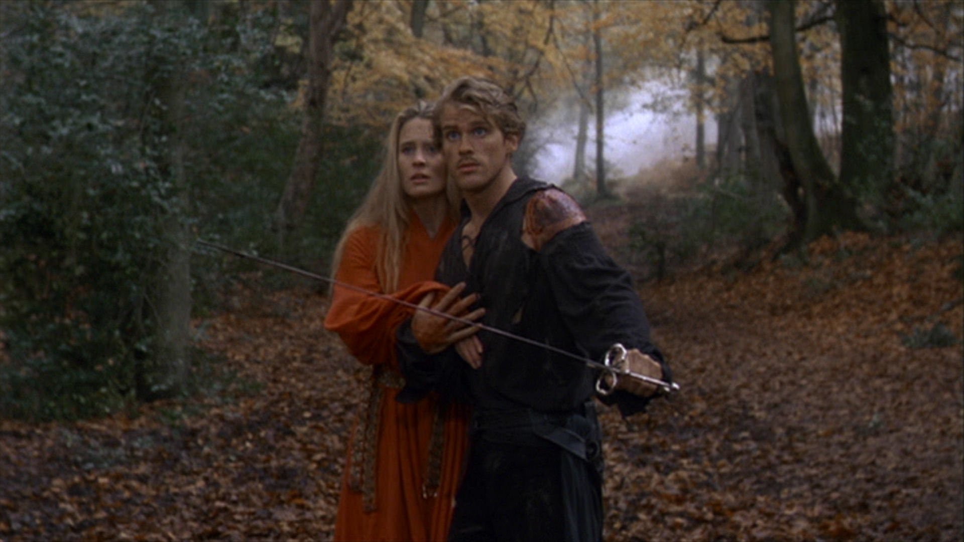 Download Movie The Princess Bride Image