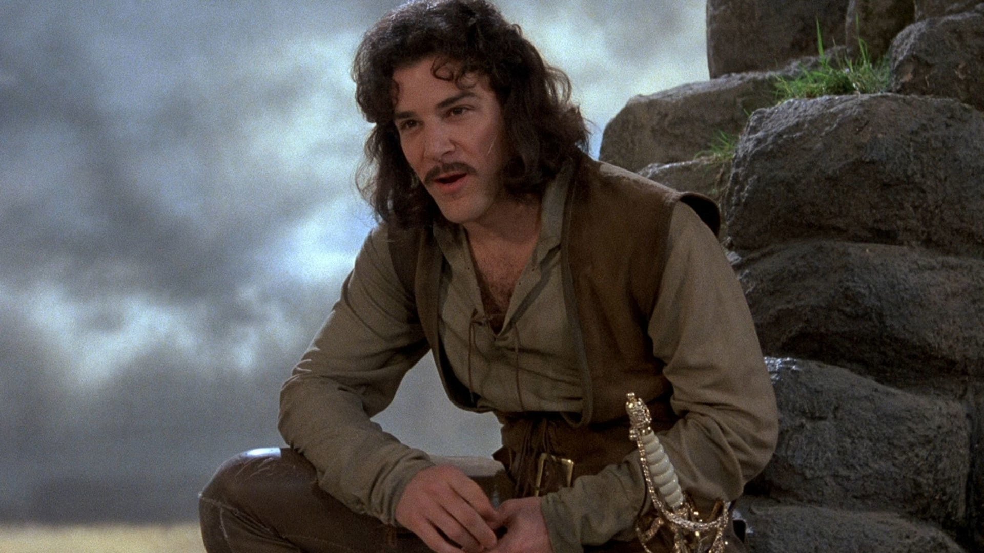 The Princess Bride - Desktop Wallpapers, Phone Wallpaper, PFP, Gifs ...