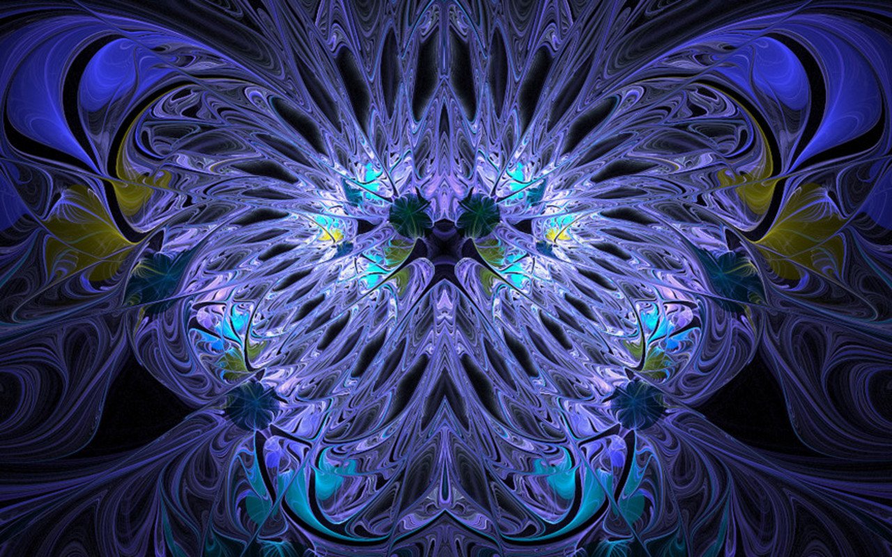 Fractal Veins of the Abstract Night
