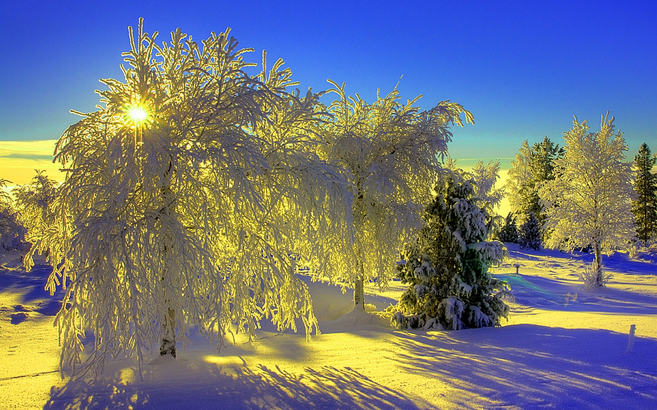 Download Nature Winter Image