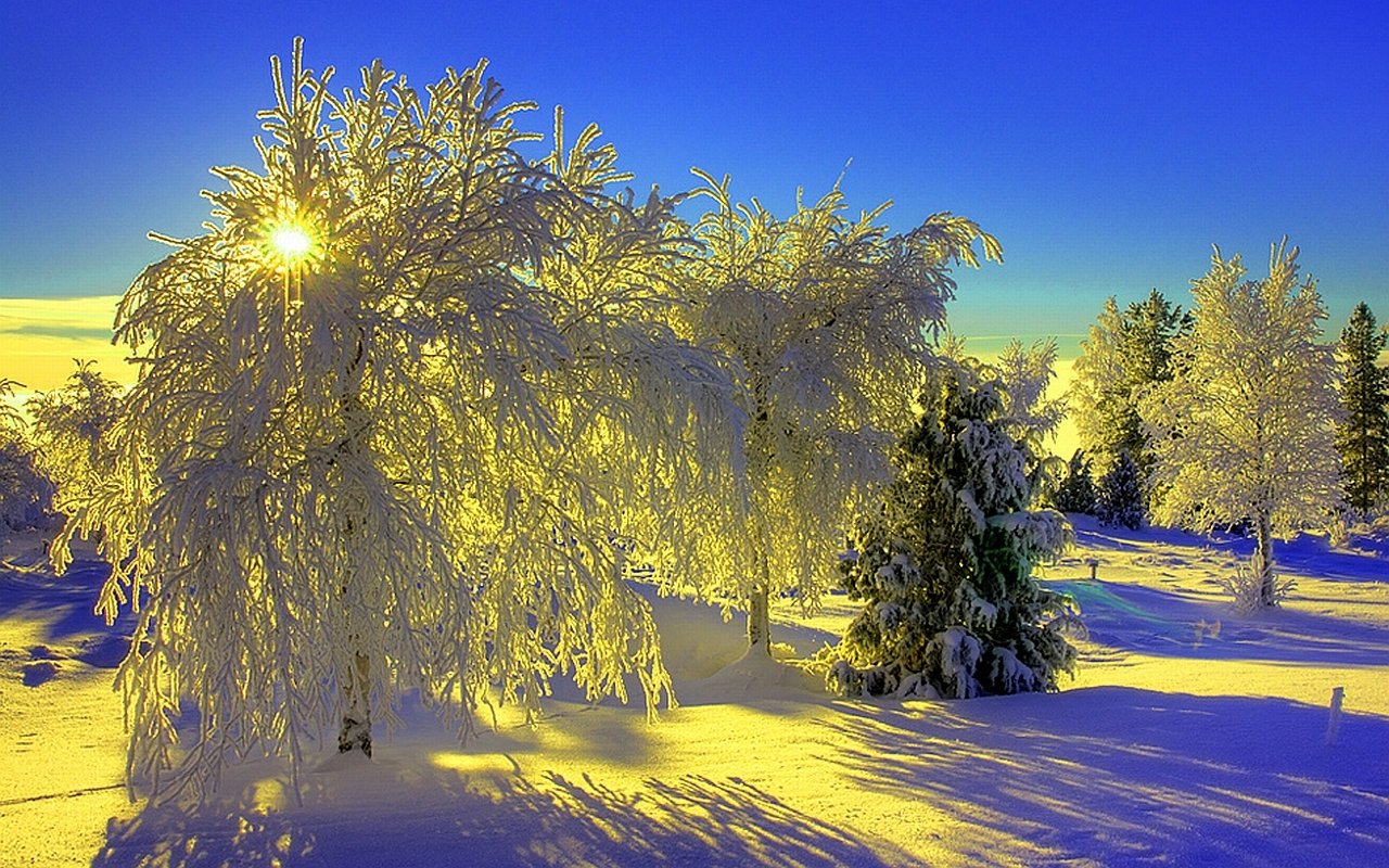 Winter Image - ID: 256064 - Image Abyss