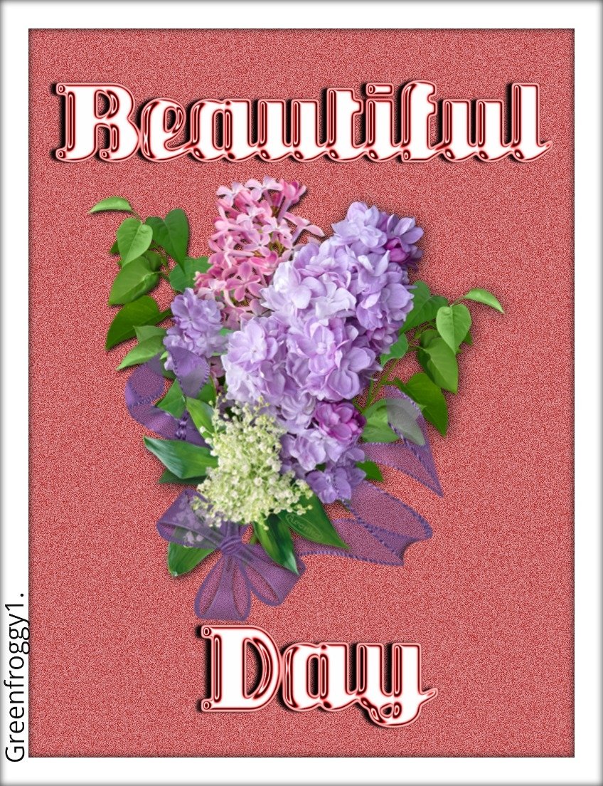 BEAUTIFUL DAY Image - ID: 257341 - Image Abyss
