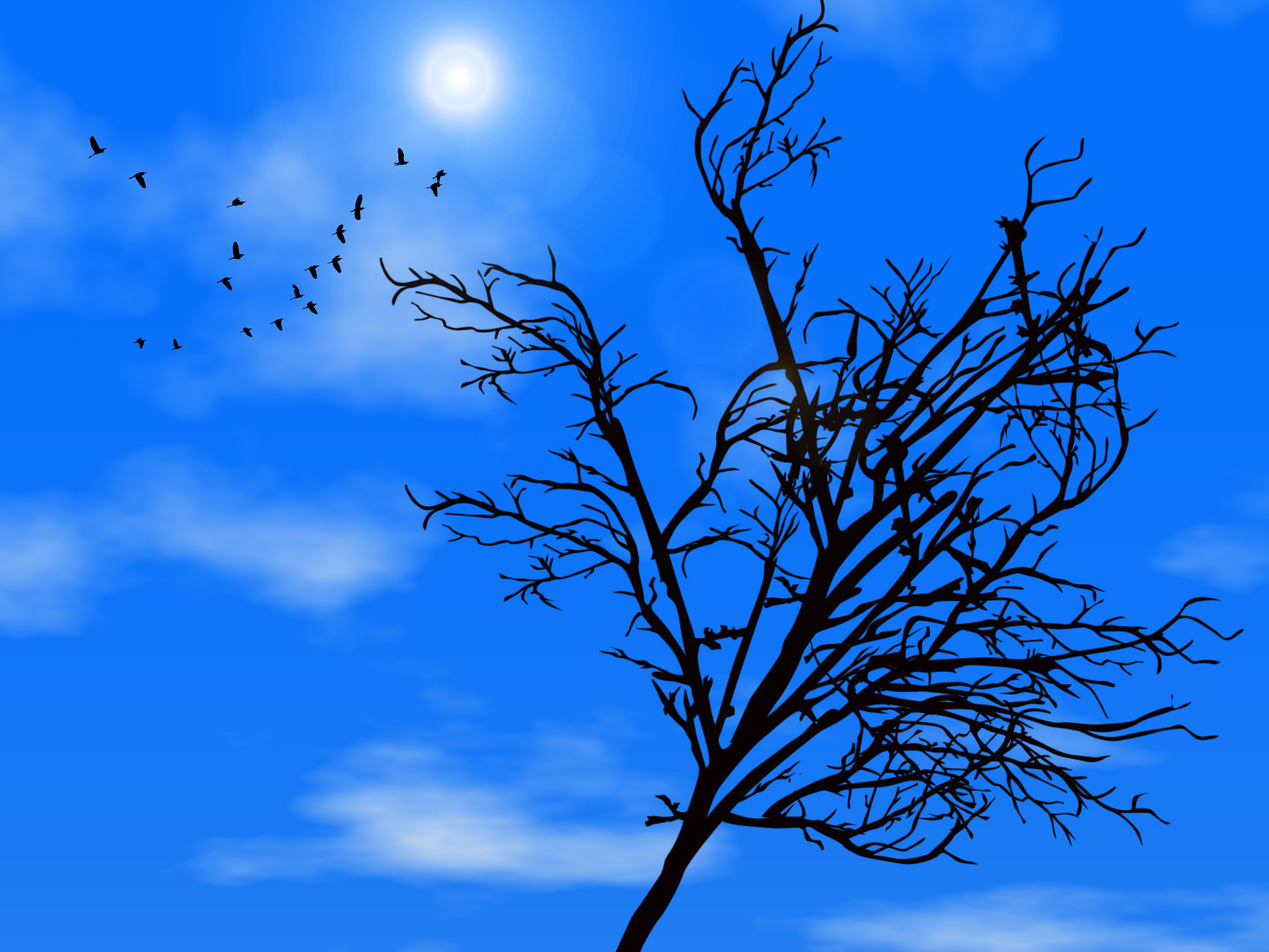 Download Sky Silhouette Artistic Tree Image by Susanlu4esm