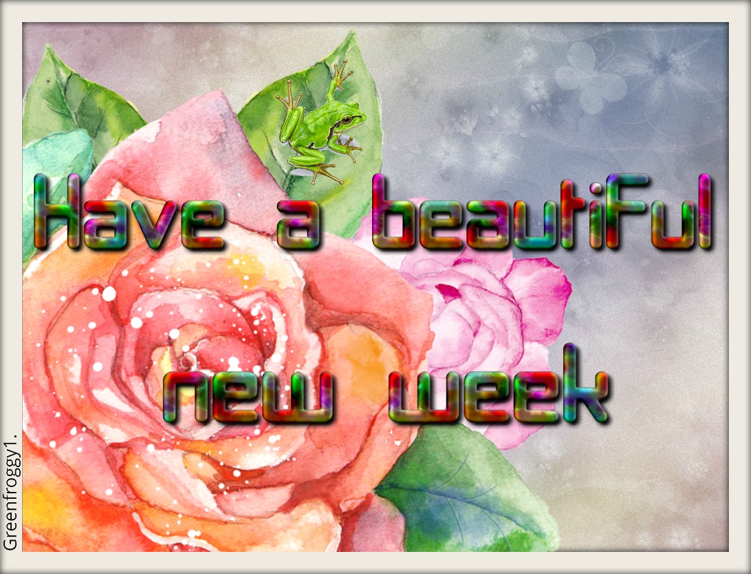 BEAUTIFUL NEW WEEK by GREENFROGGY1