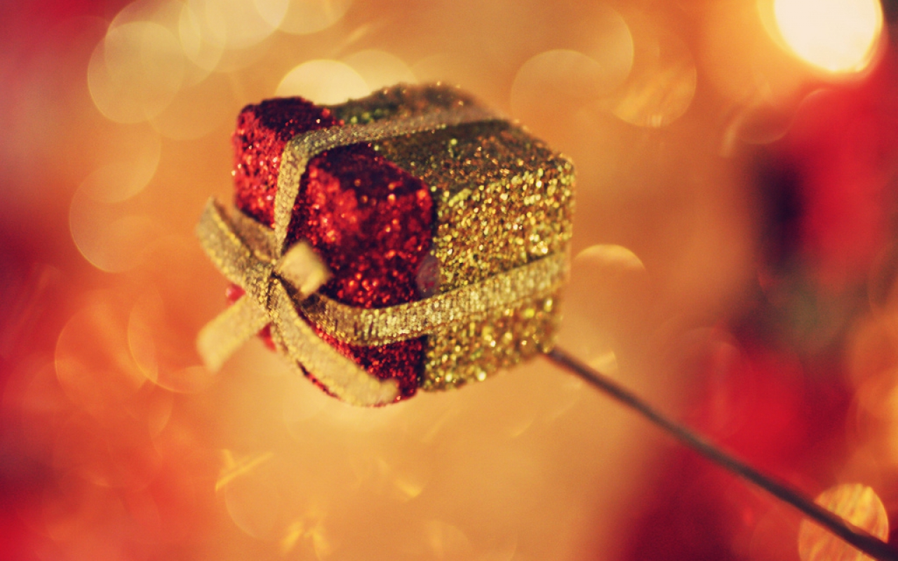 Sparkling Surprise: The Perfect Gift Moment