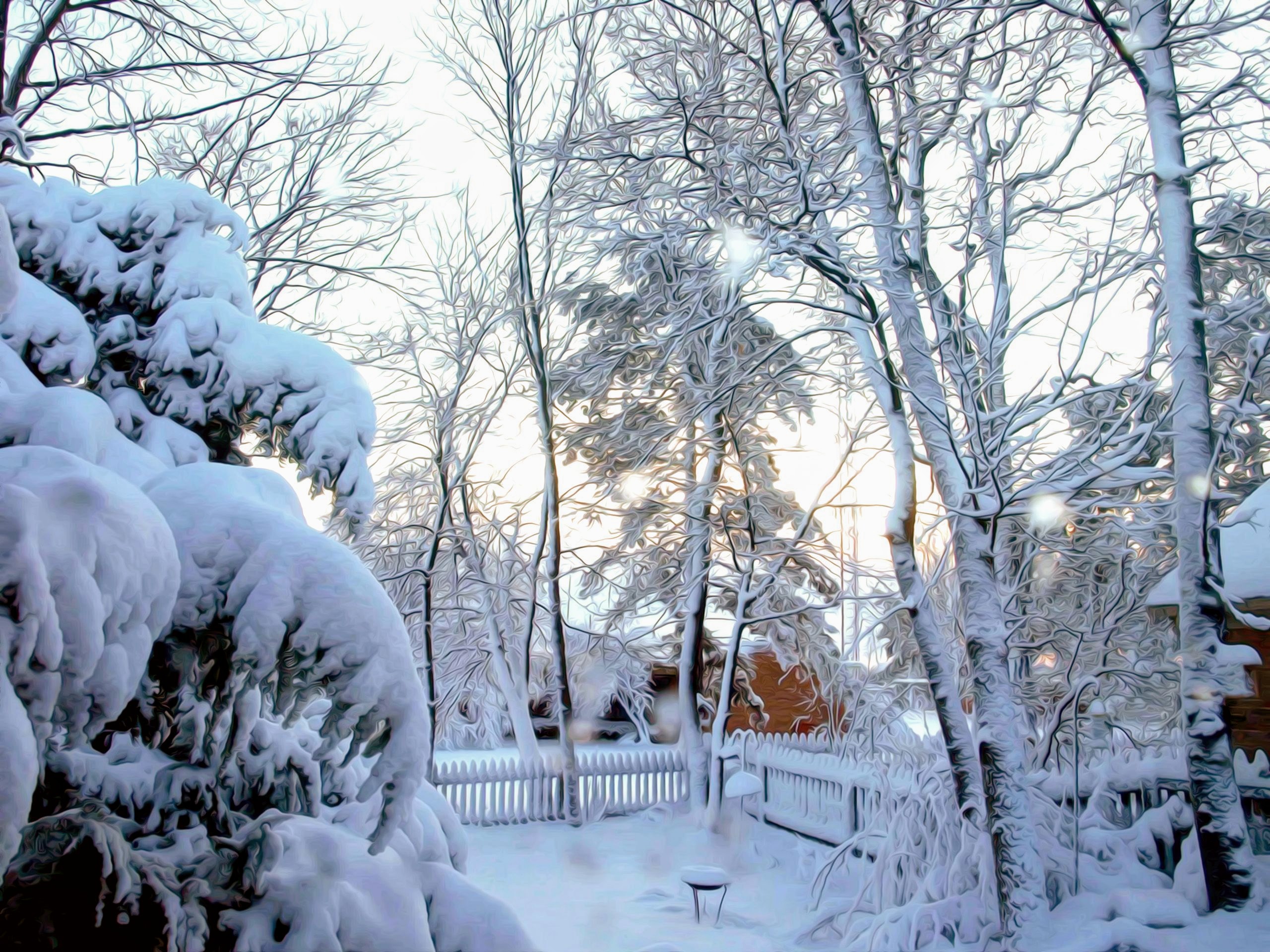 Download Snow Tree Yard Fence Photography Winter Image