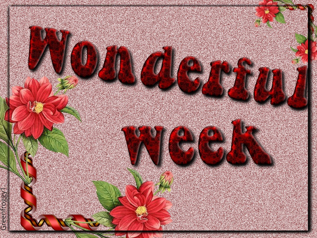 WONDERFUL WEEK by GREENFROGGY1 - Image Abyss