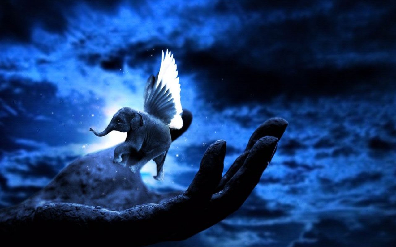 Enchanted Wings: The Mythical Animal of Fantasy Realms