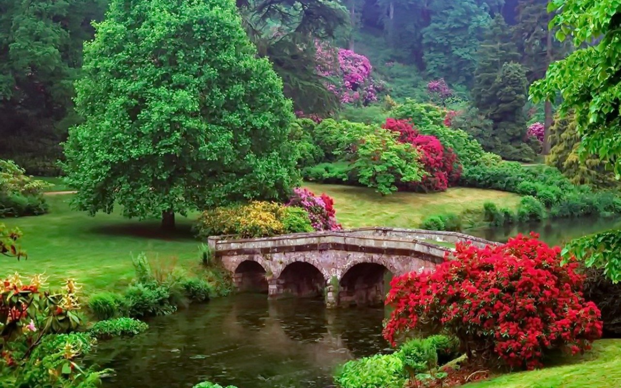 Timeless Tranquility: A Stunning Park Photography Scene