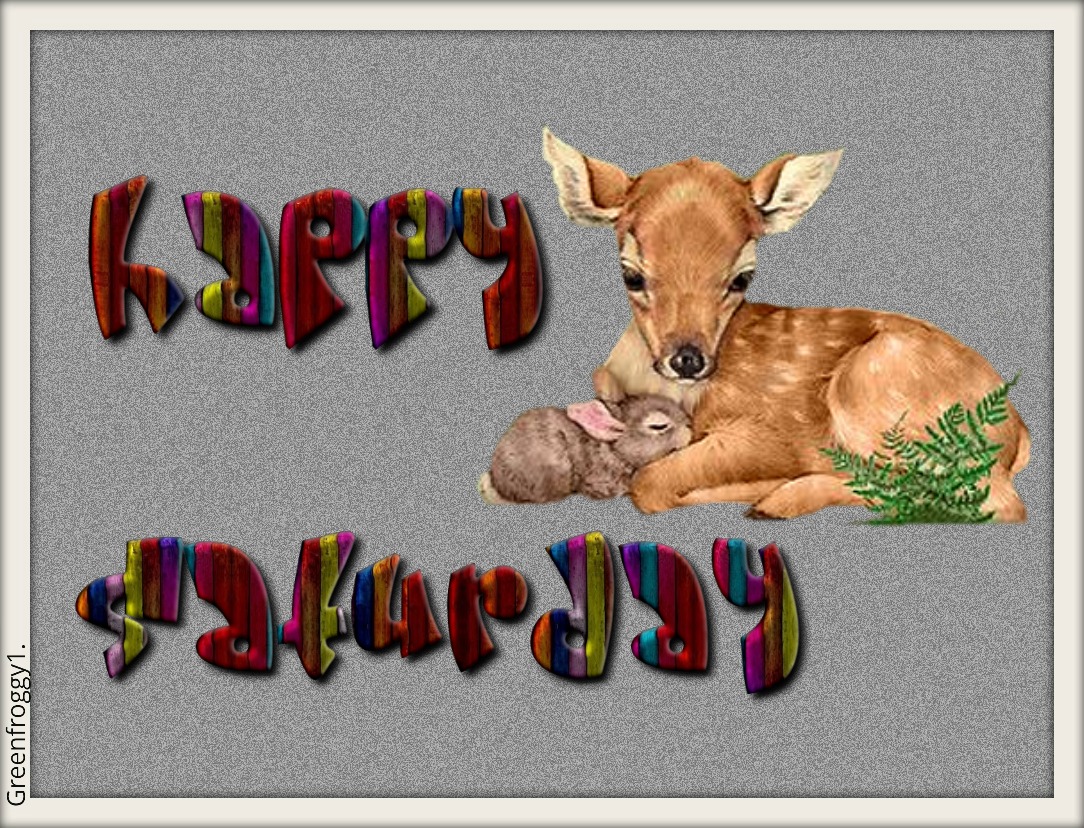 HAPPY SATURDAY by GREENFROGGY1