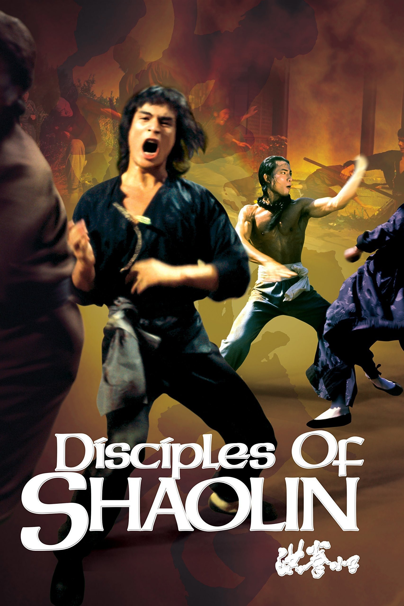 Disciples Of Shaolin - Desktop Wallpapers, Phone Wallpaper, PFP, Gifs ...