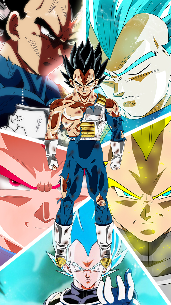 Vegeta by Raphitalia