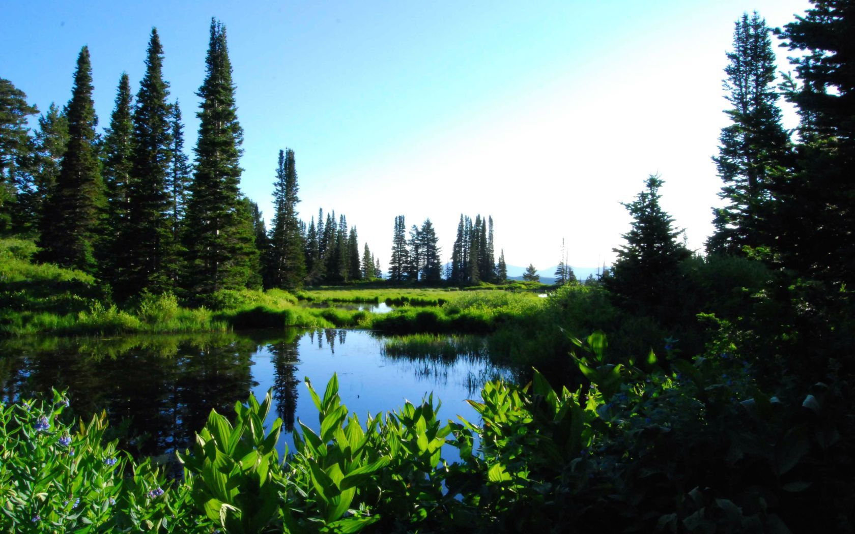 Farmington Canyon, Utah - Image Abyss