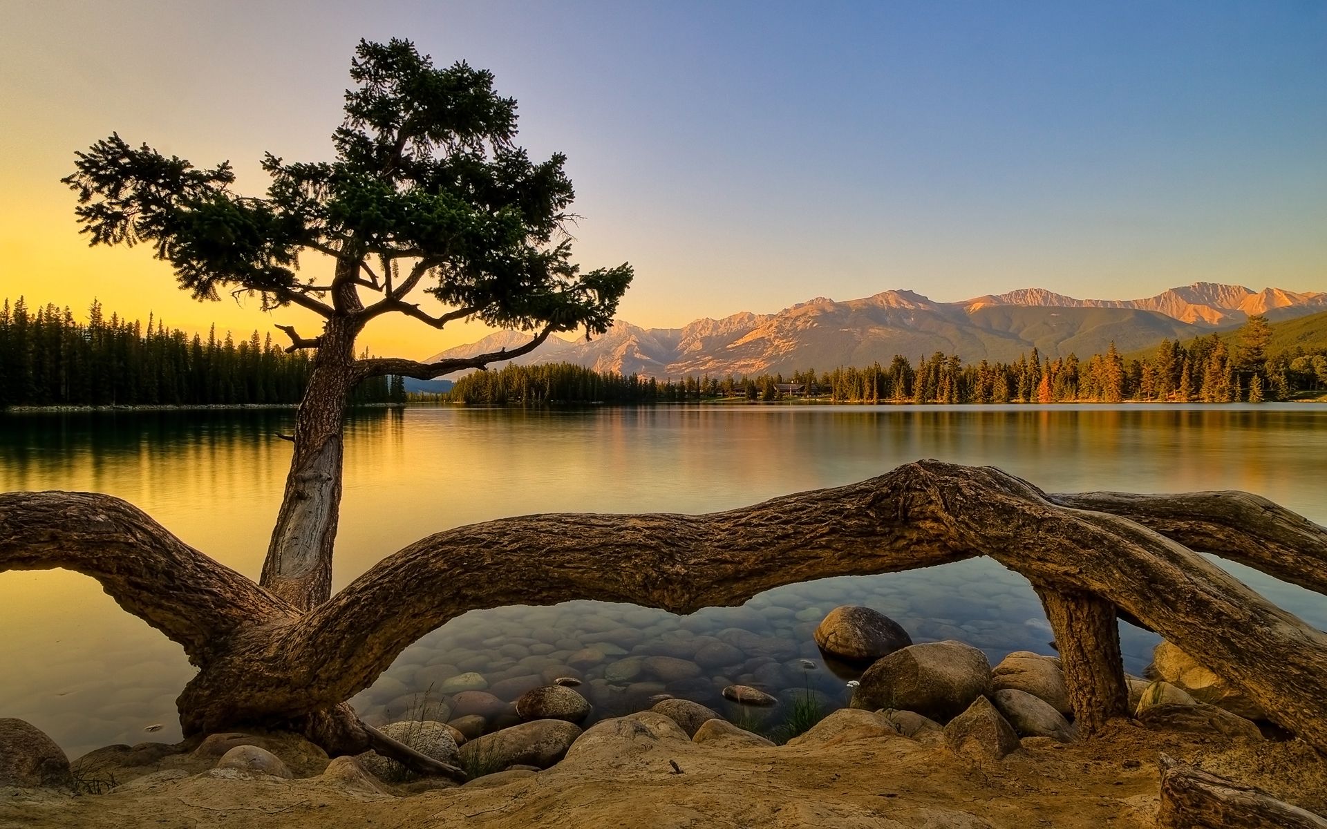 Tranquil Lake Embrace: Nature’s Serene Reflection