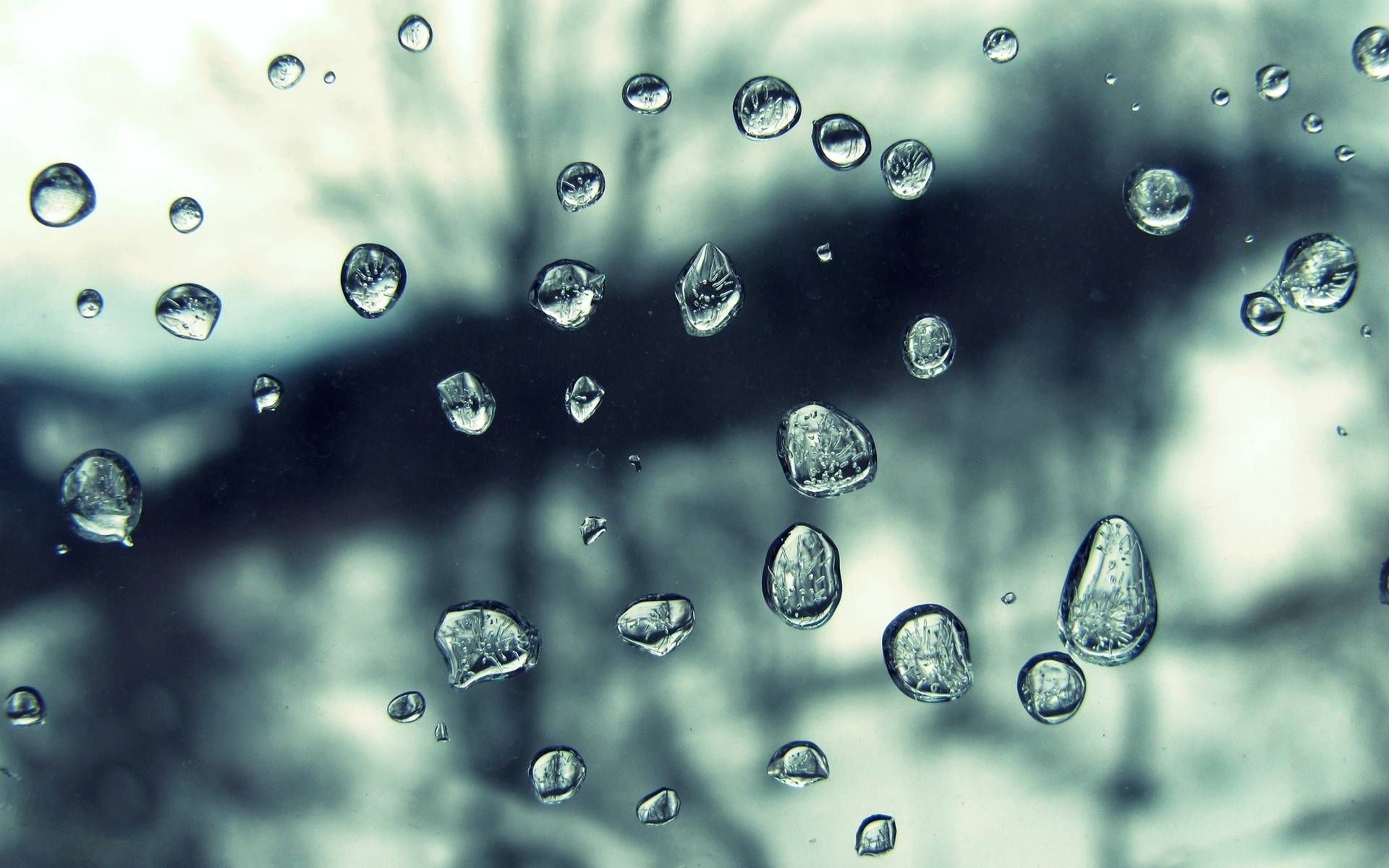 Captivating Water Drops: A Photography Perspective