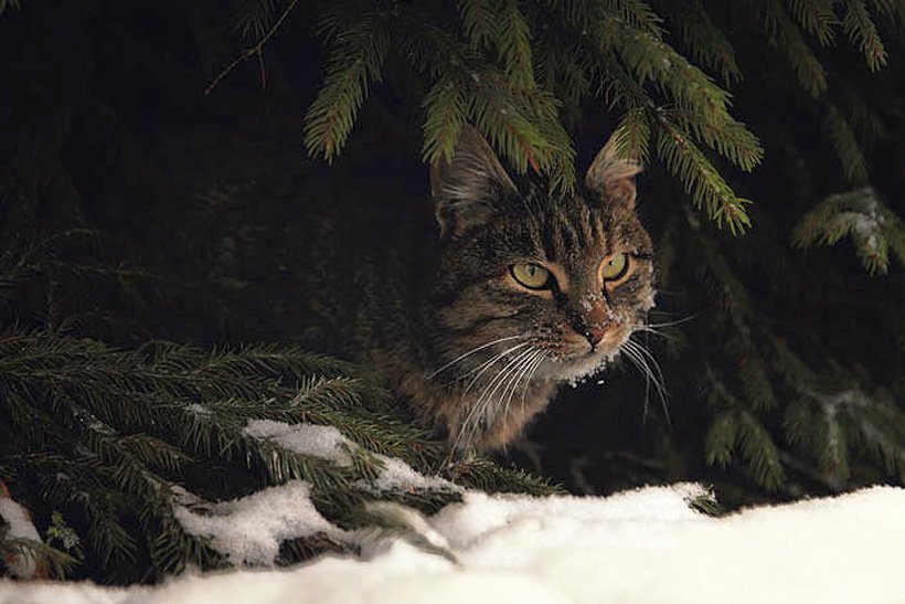 layer Desktop Wallpapers, Phone Wallpaper, PFP, Gifs, and More At Alpha ...