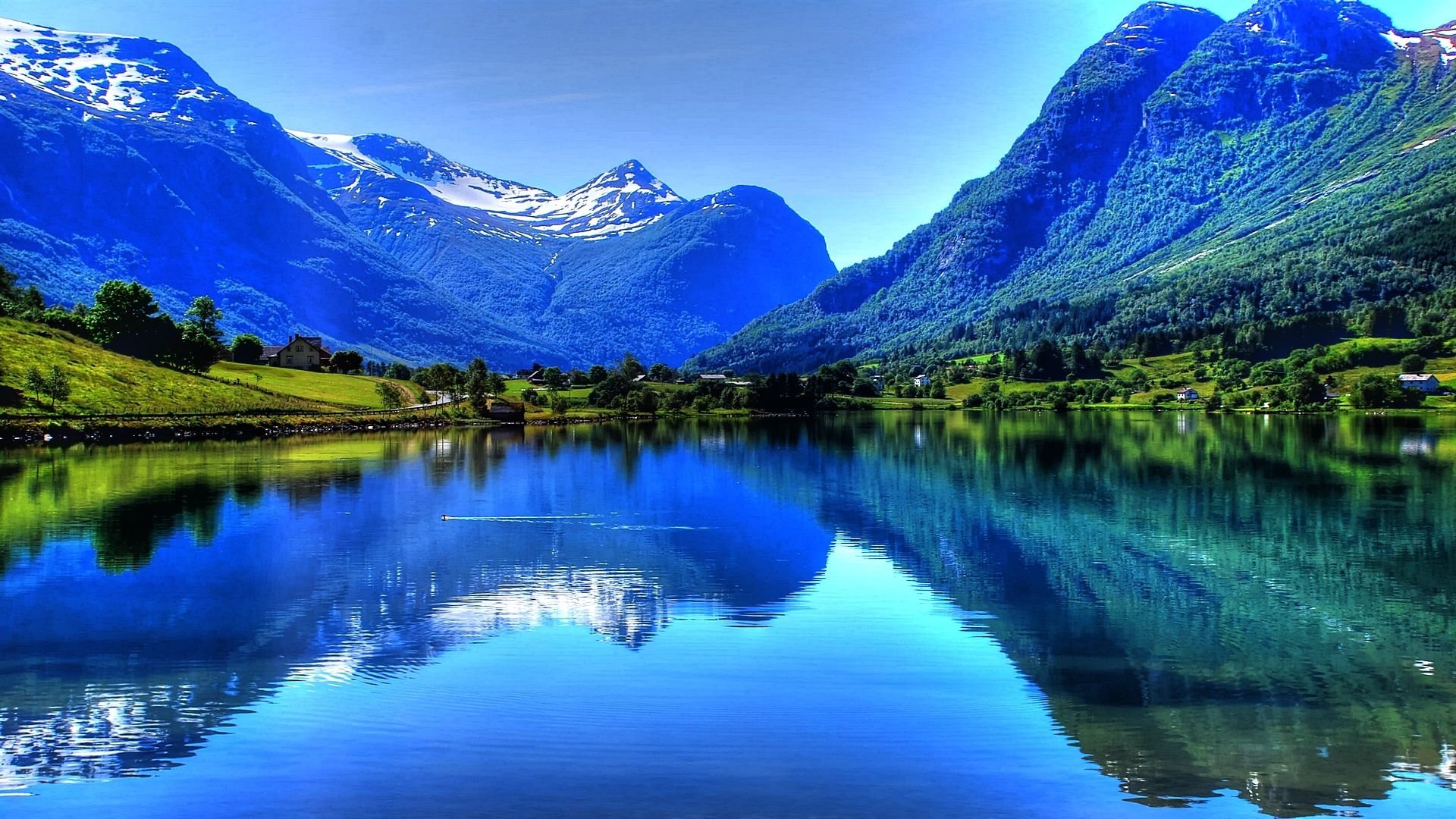 Tranquil Reflections: A Serene Lake in Nature