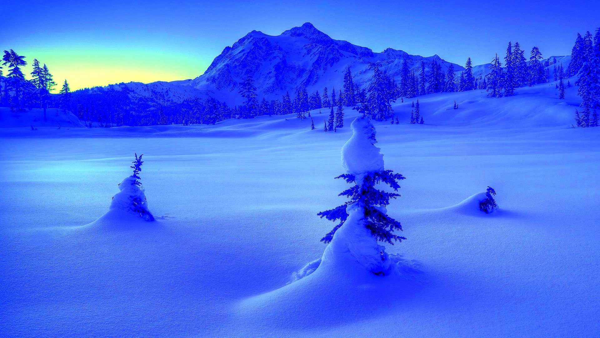 Winter's Serenity: Embracing Nature's Snowy Landscape