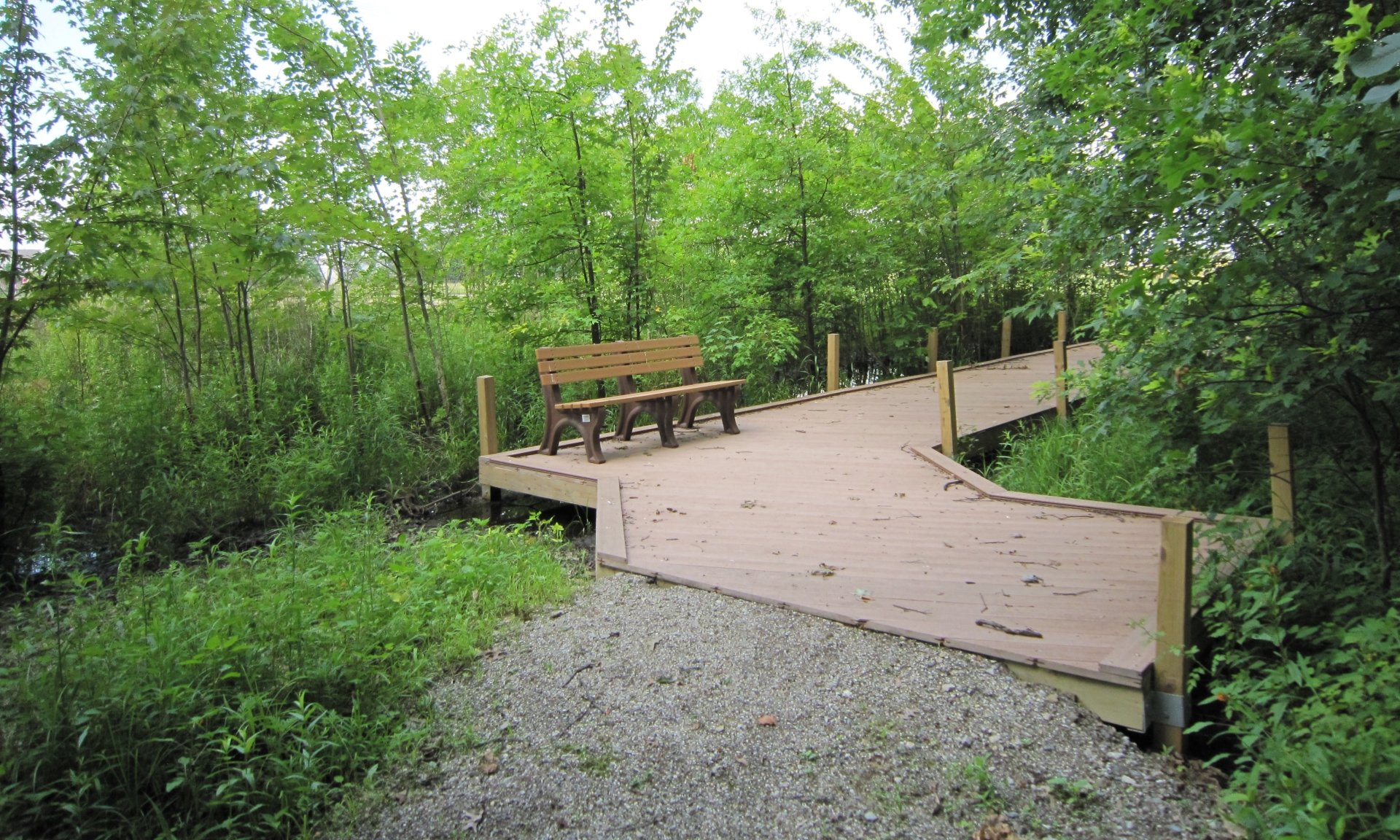 Tranquil Pathway Through the Park