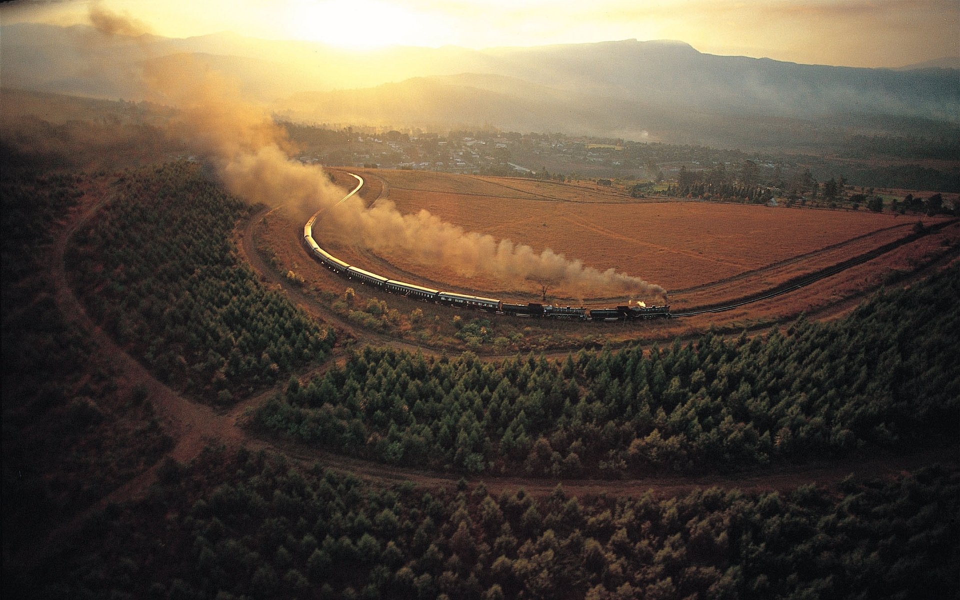 Tranquil Journey: An Aerial View of a Train in Nature