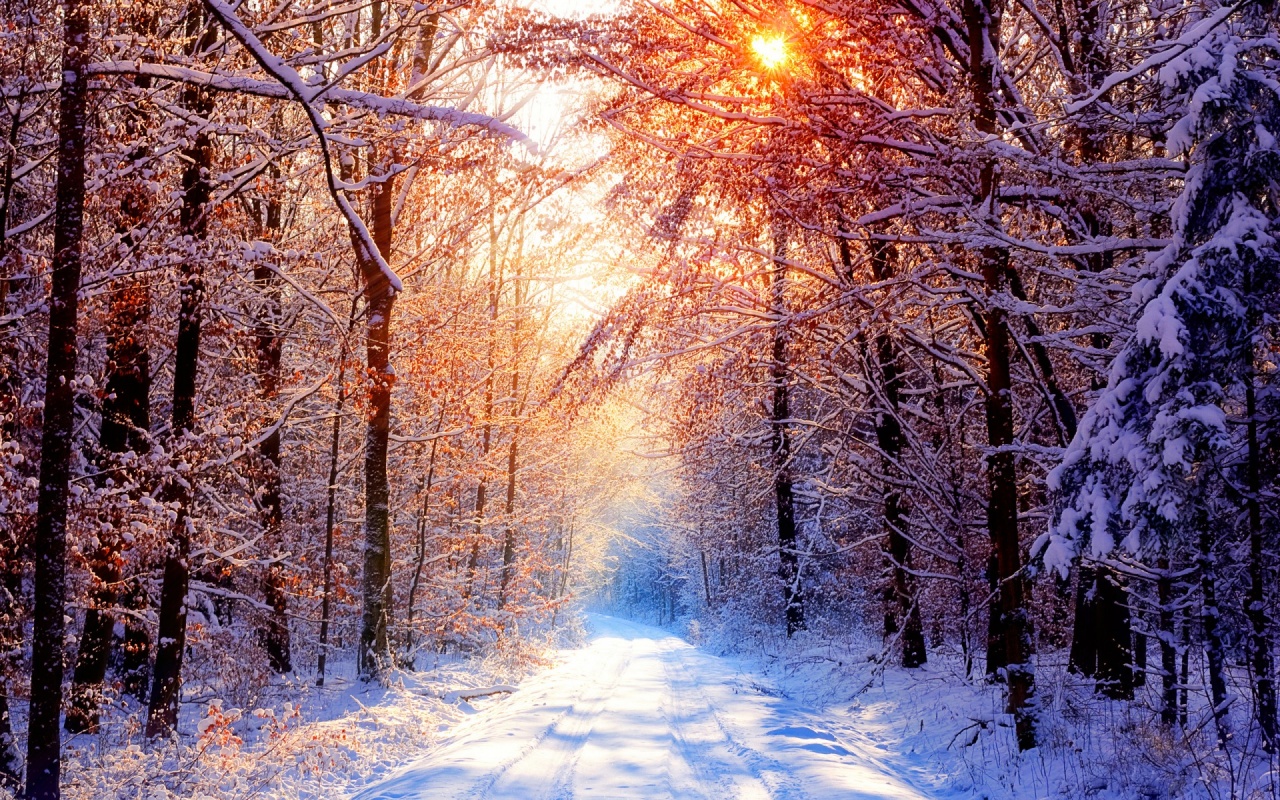 Download Nature Winter Image