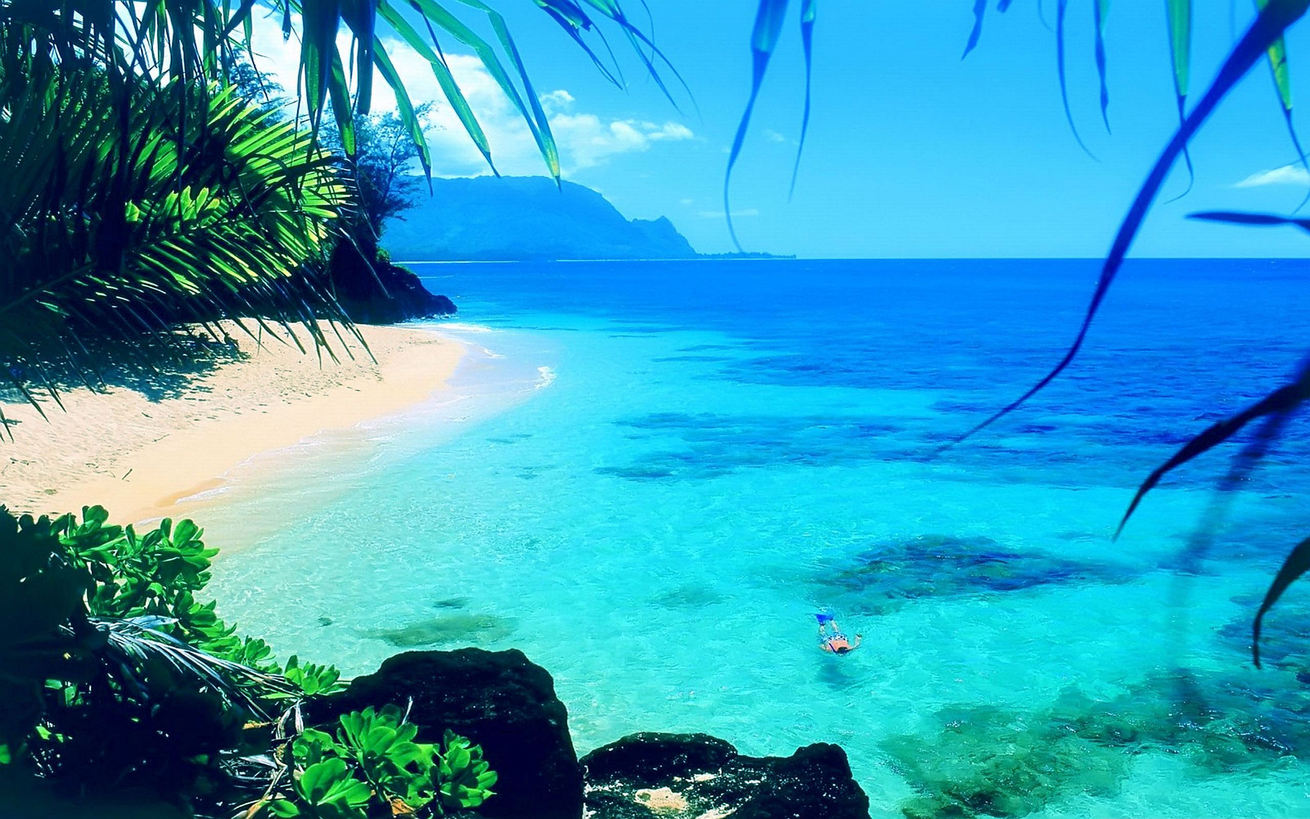 Secluded Beach - Image Abyss