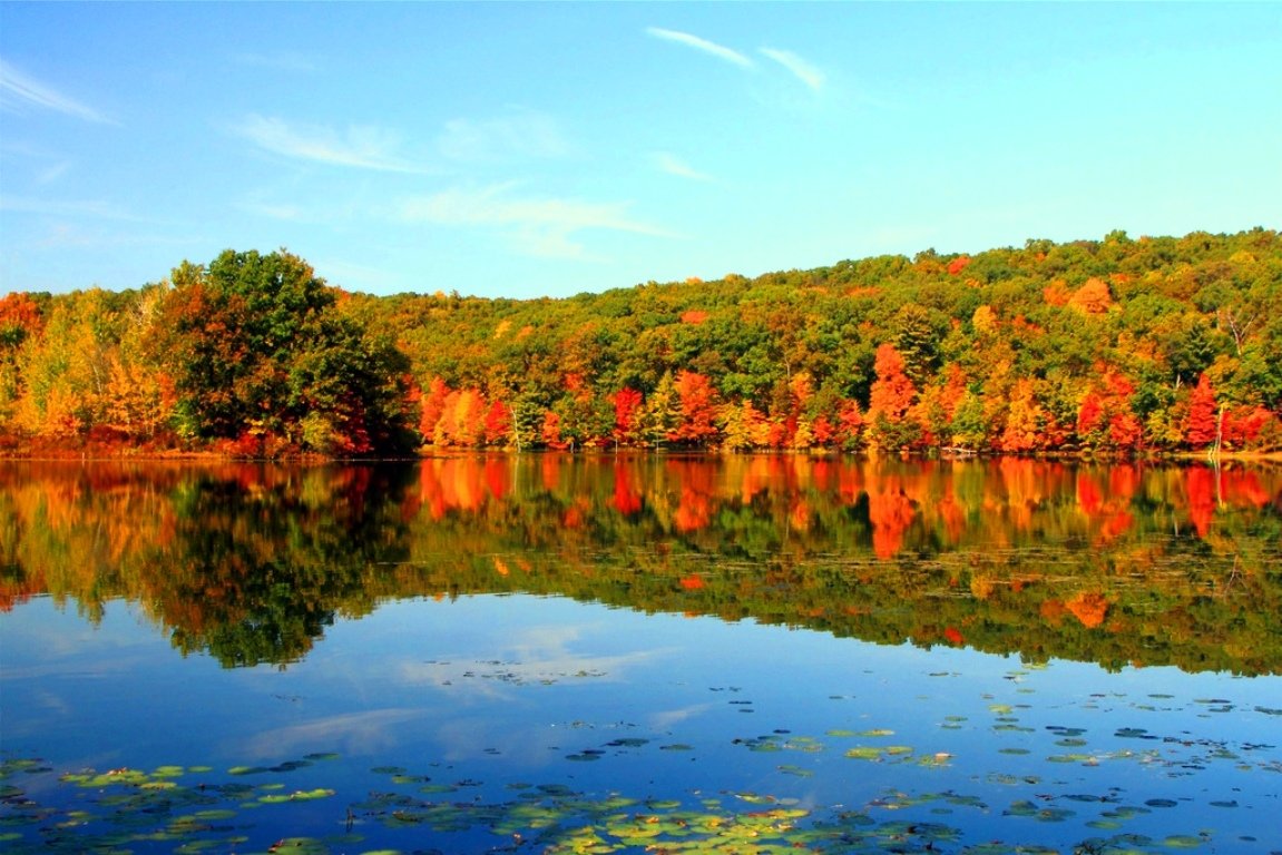 Lake Image - ID: 267098 - Image Abyss