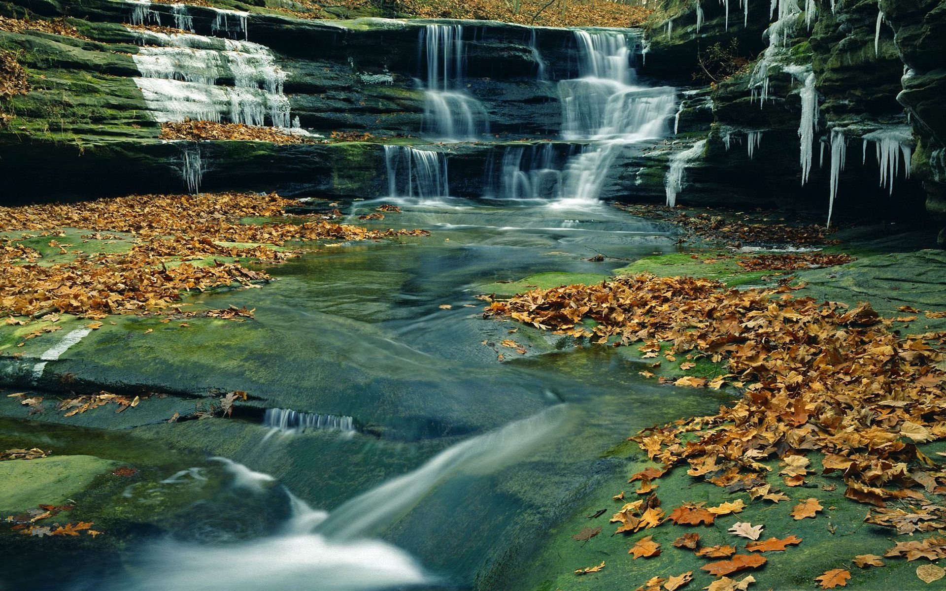 Serenity of Nature: Waterfalls and Leaves in Tranquil Streams