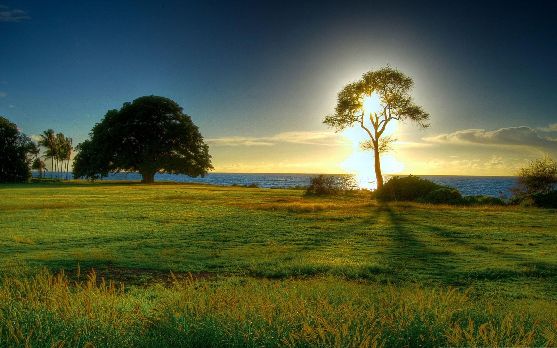 Sunset Serenity: A Tranquil Field Under Cloudy Skies