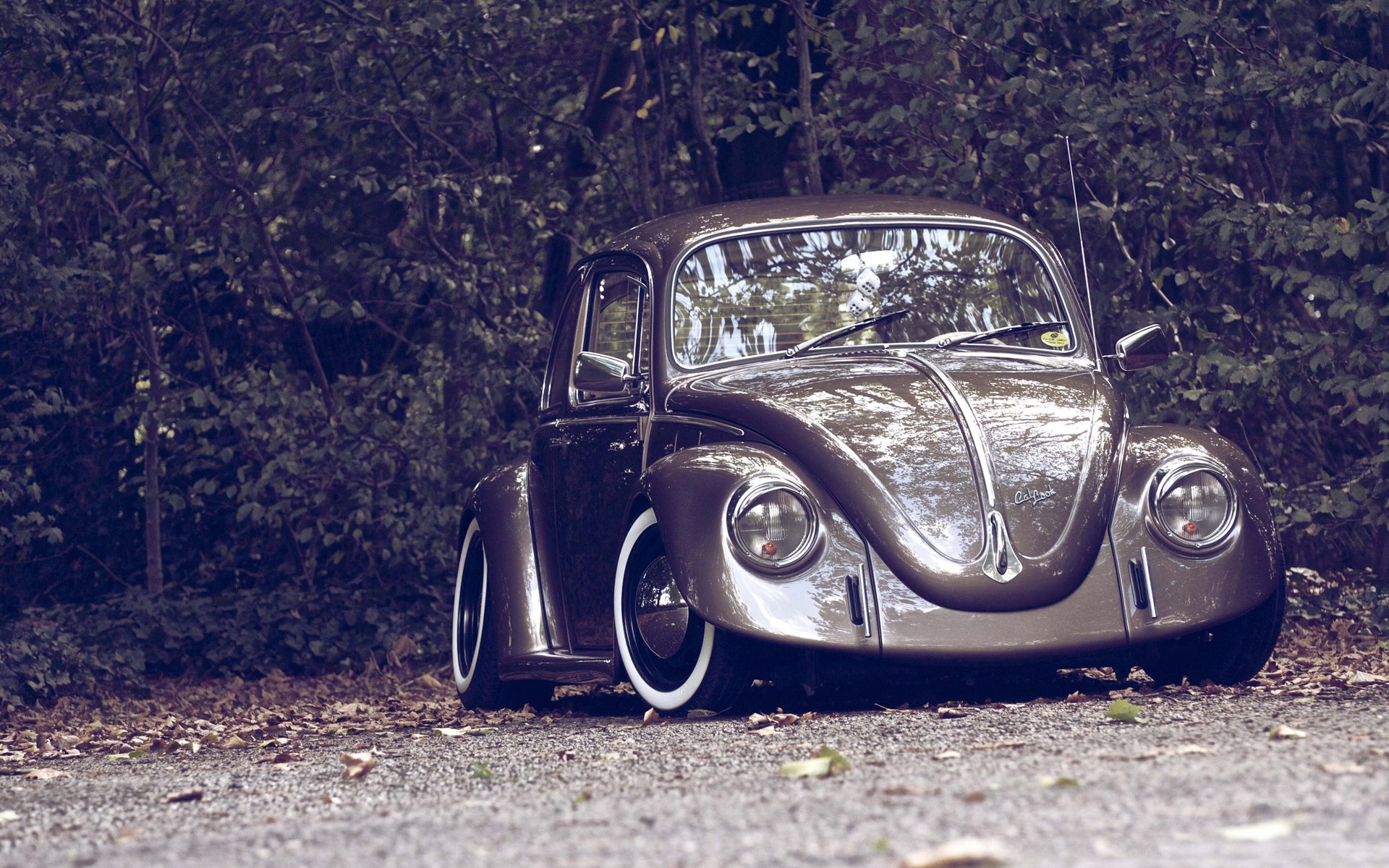 Low-Slung Volkswagen Beetle in the Woods