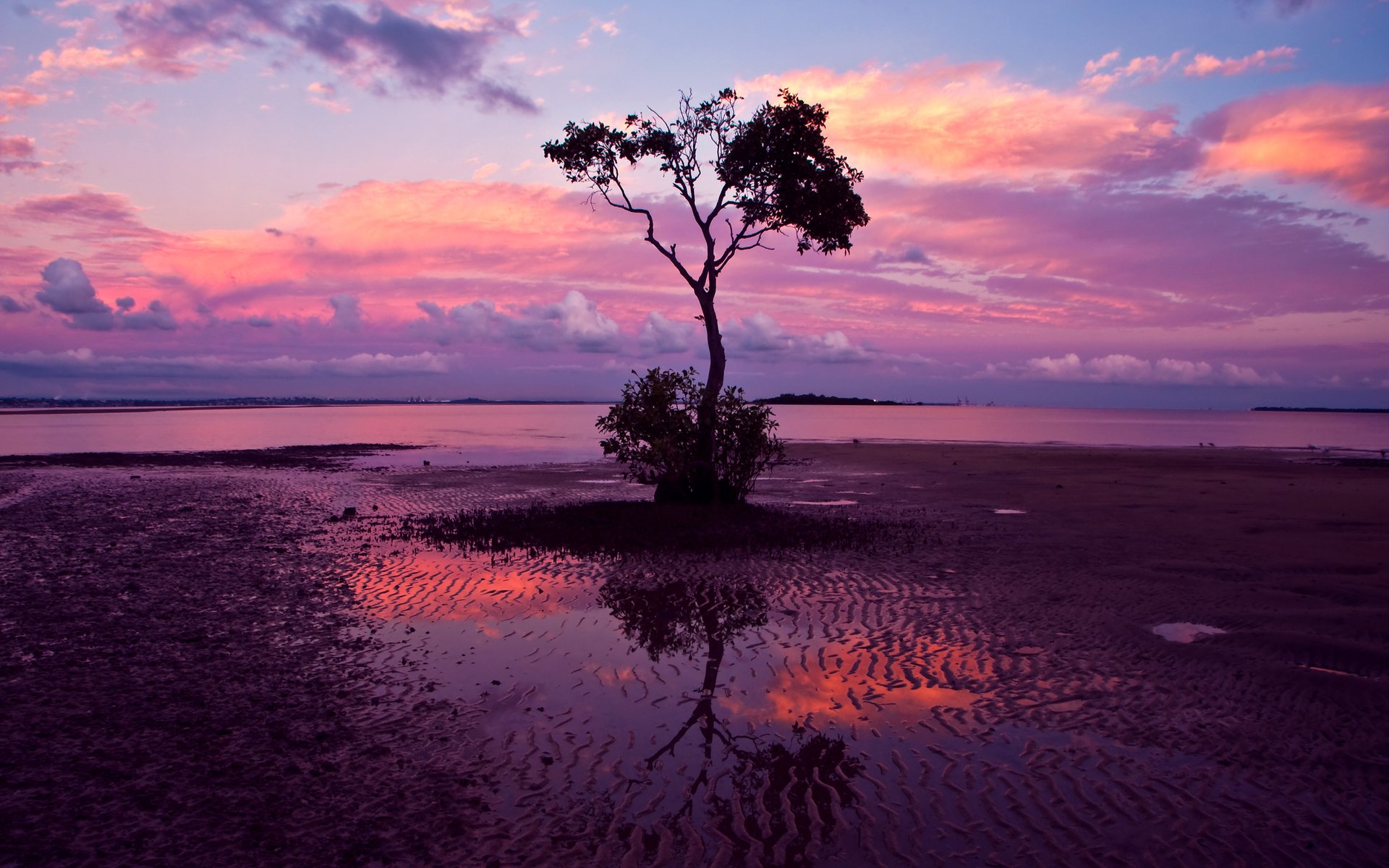 Serene Sunset Reflections: Water, Tree, and Nature's Beauty
