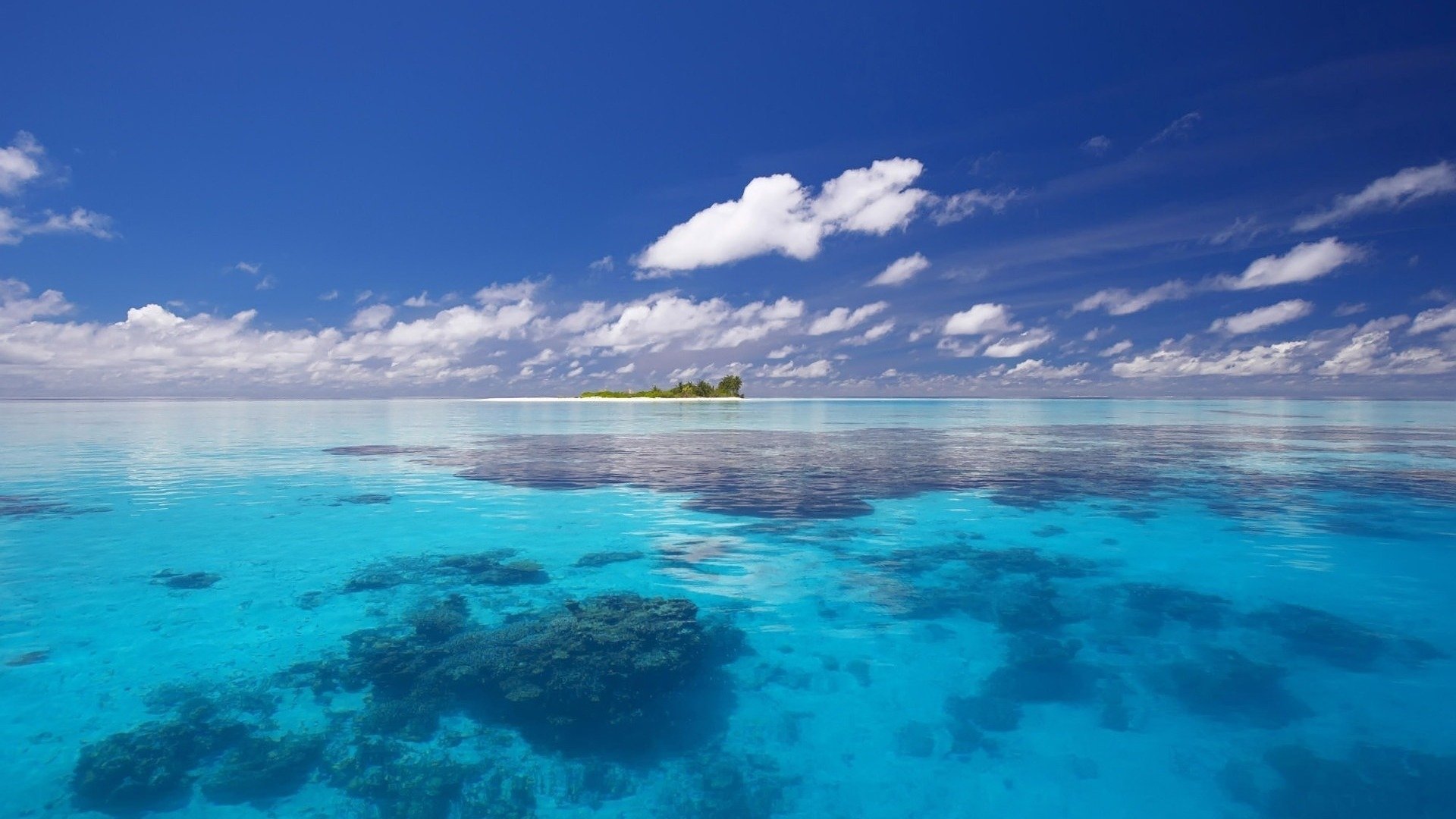 Serene Seascape: Nature’s Crystal Blue Horizon