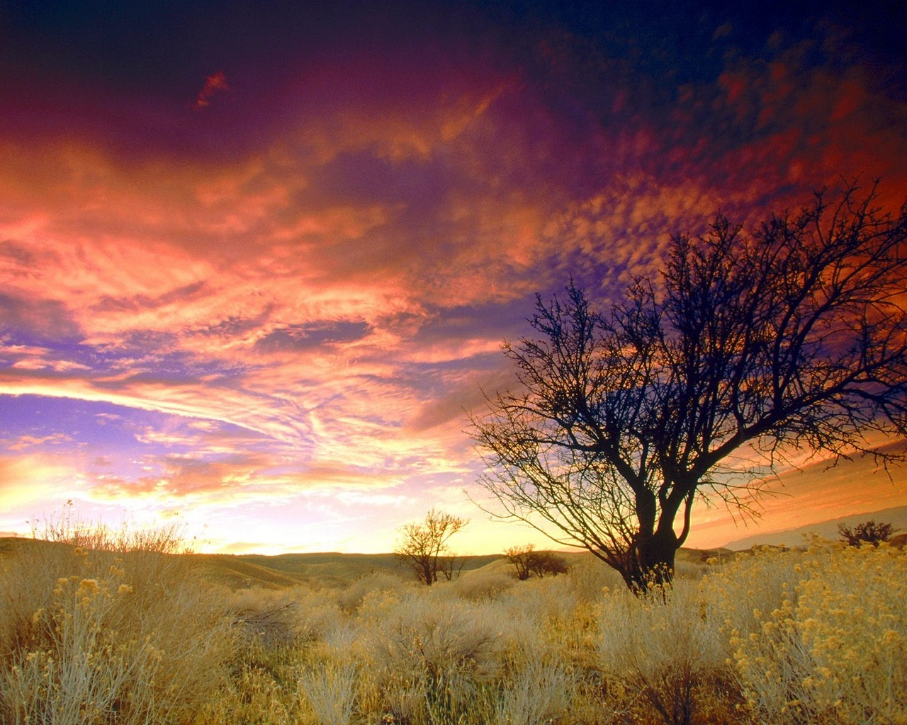 Scenic Serenity: Nature's Majestic Canvas