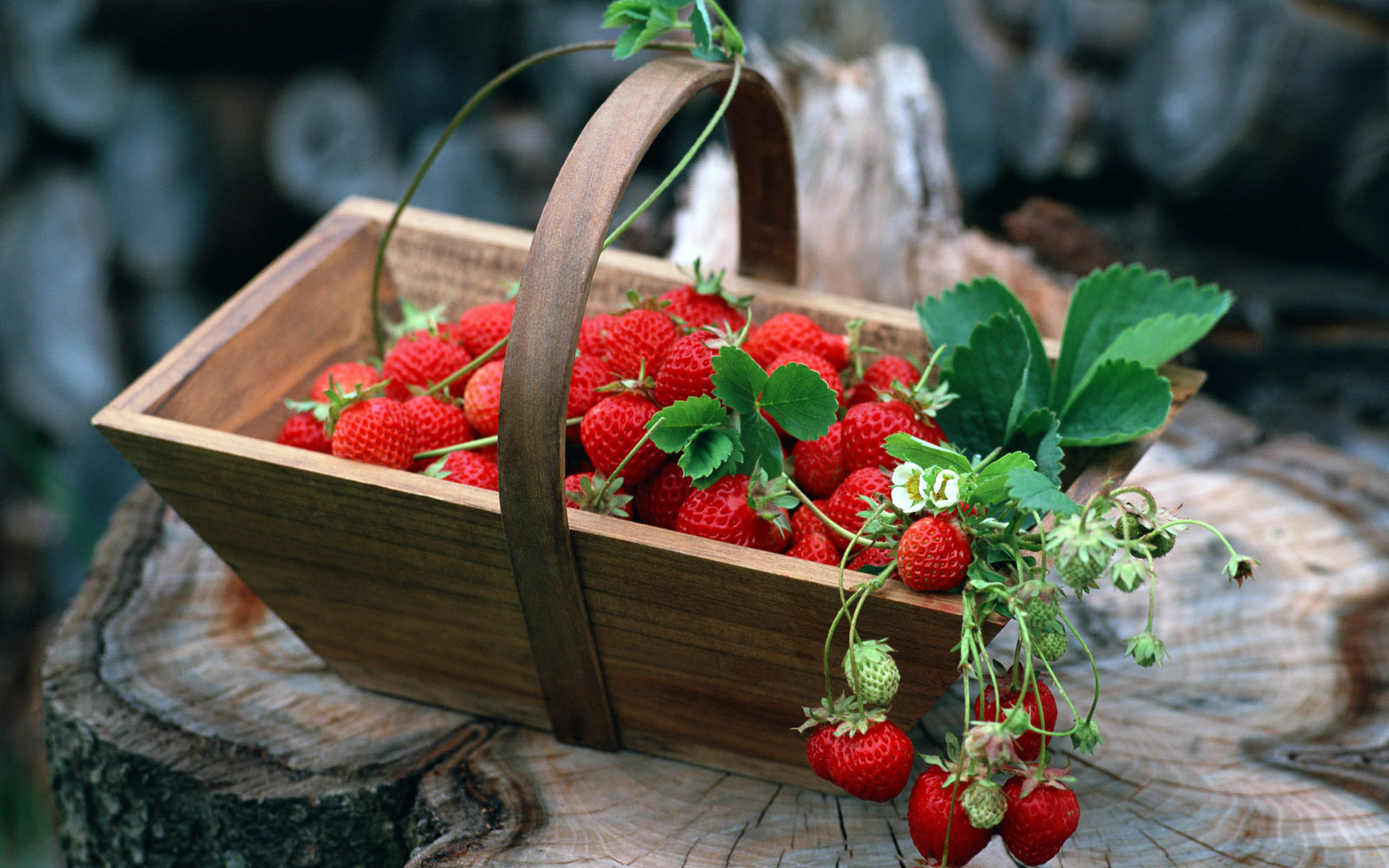 Strawberry Picture - Image Abyss