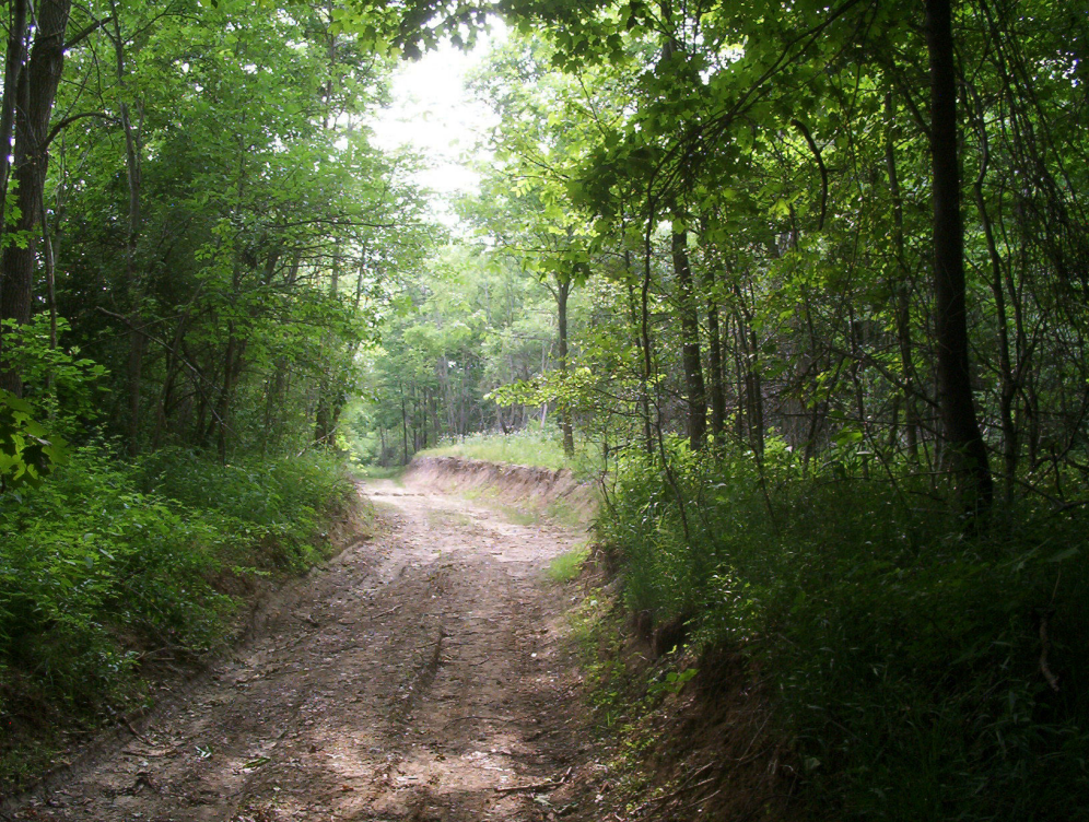 Indiana Two-track by anunusualwoman