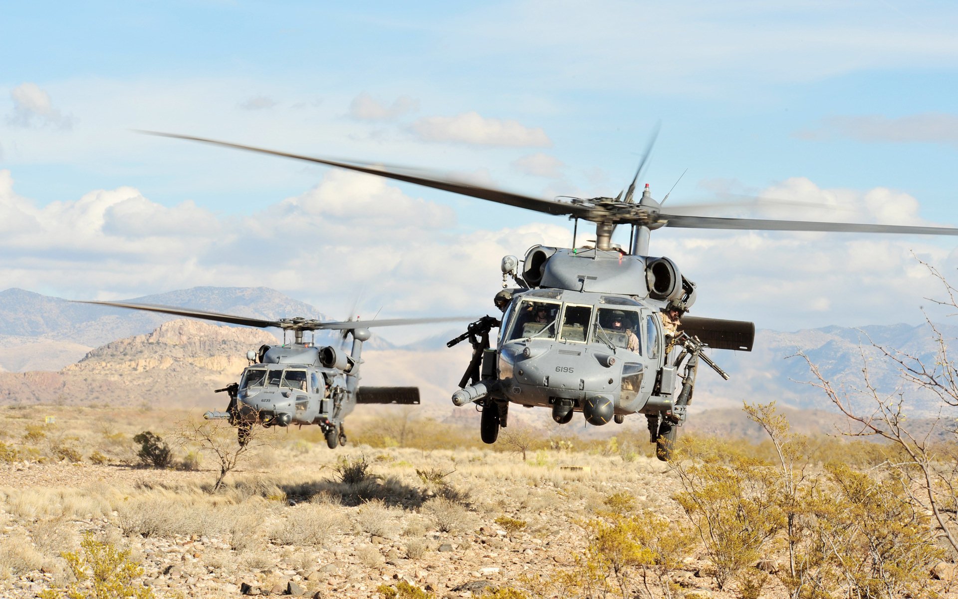 Black Hawk Warriors: Sikorsky UH-60 Military Helicopters in Action